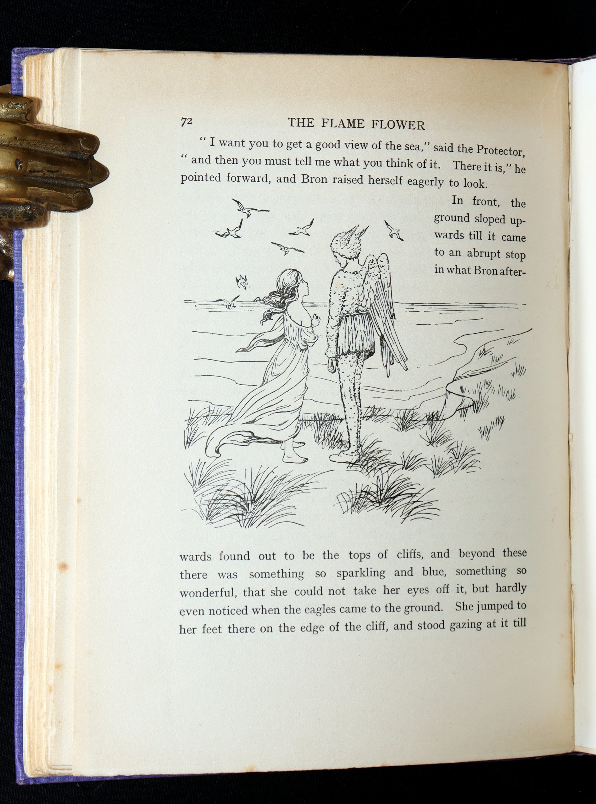 1922 Rare Book- The Flame Flower by Phyllis Saunders and Hilda T. Mill ...