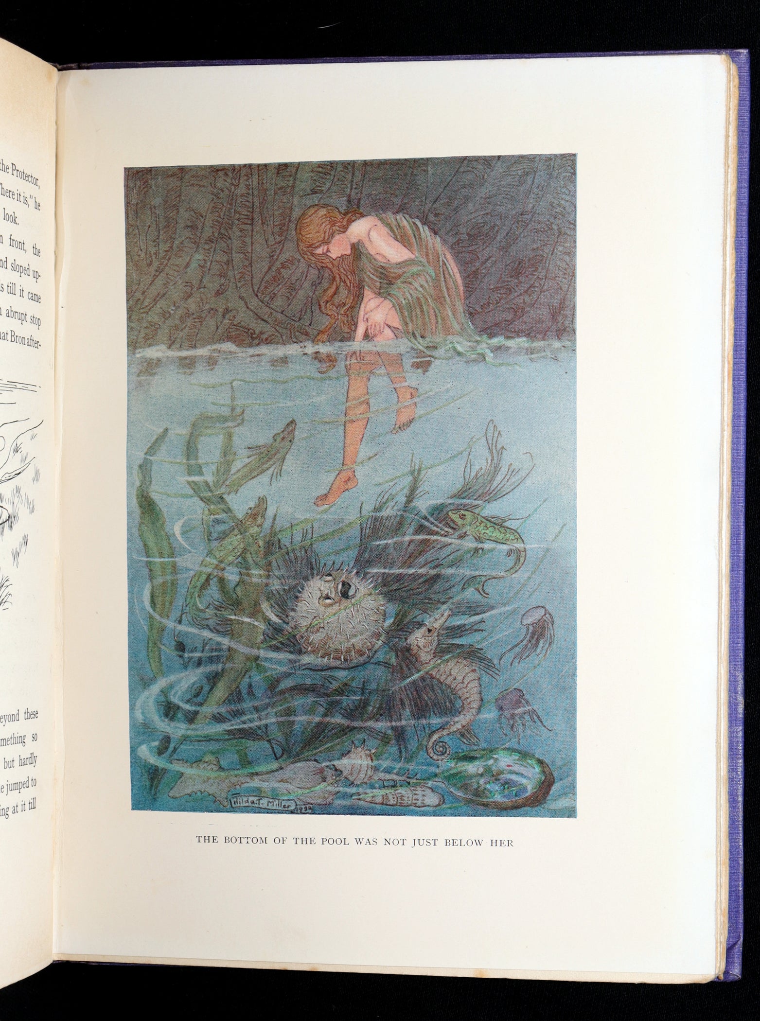 1922 Rare Book- The Flame Flower by Phyllis Saunders and Hilda T. Mill ...