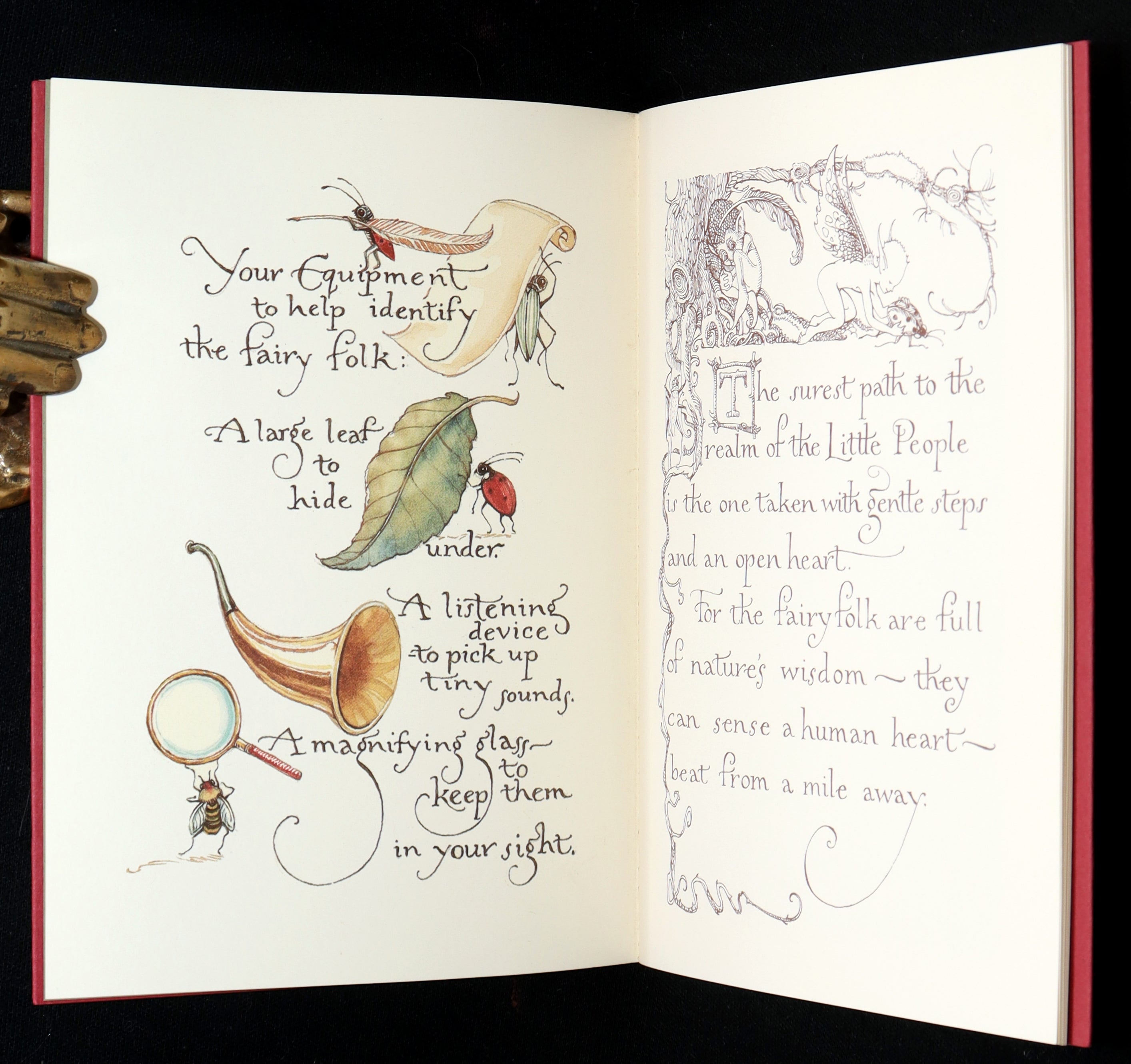 1997 First Edition - Charles van Sandwyk’s Pocket Guide to the Little ...