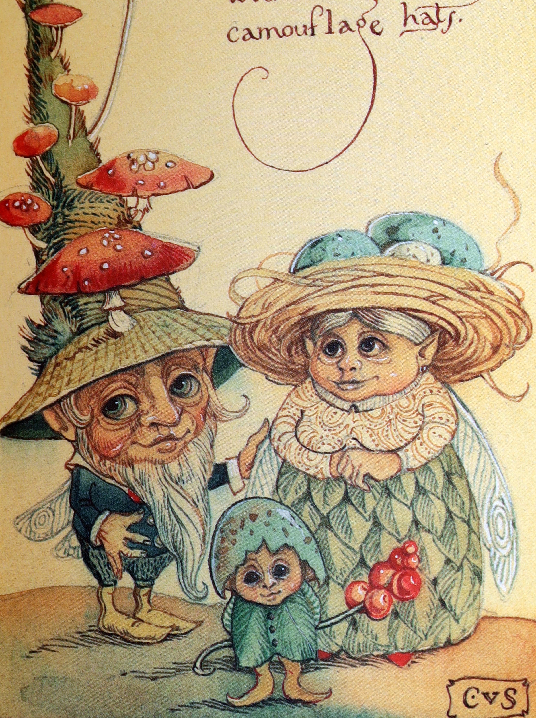 1997 First Edition - Charles van Sandwyk’s Pocket Guide to the Little ...