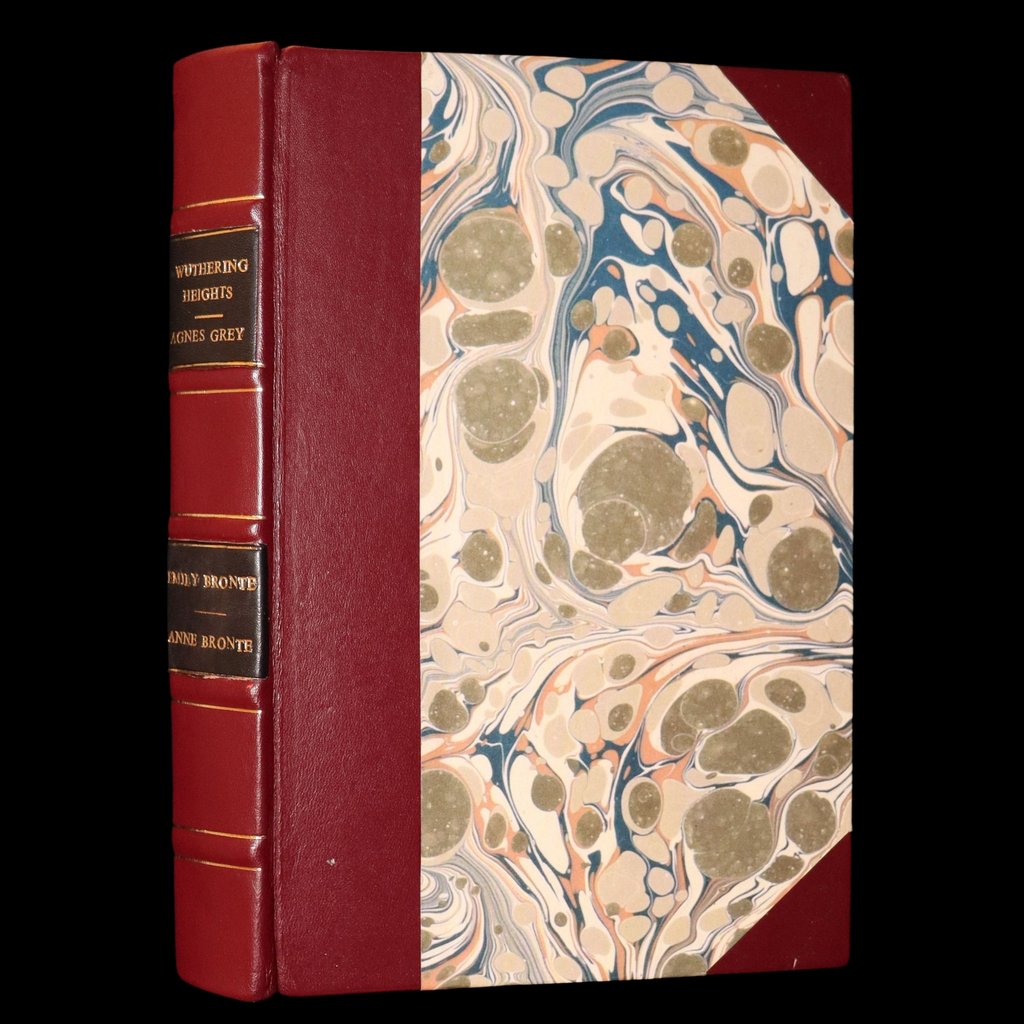 1910 Rare Book - Wuthering Heights and Agnes Grey by Emily and Anne Br ...