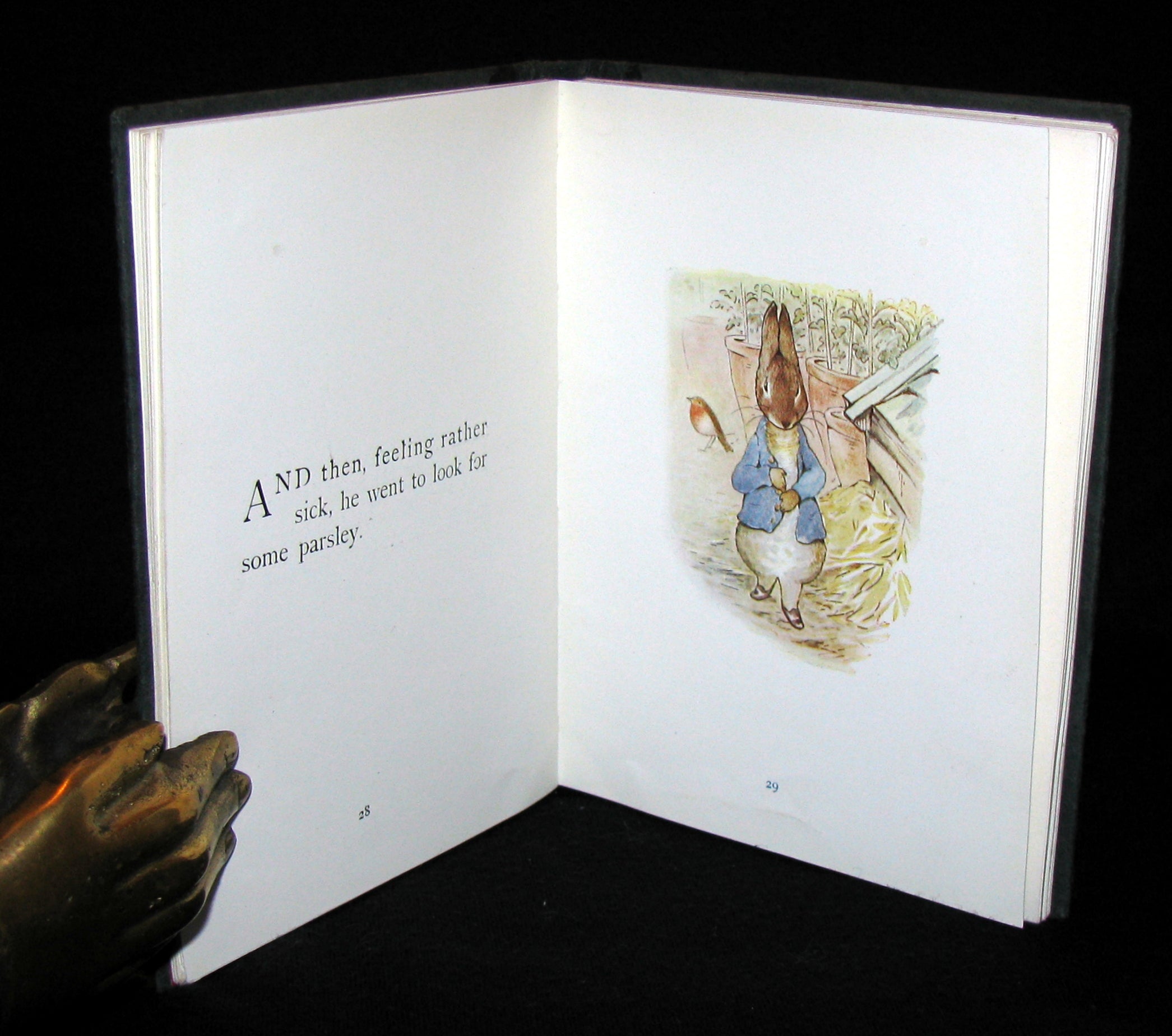 1903 Rare Book - Beatrix Potter - THE TALE OF PETER RABBIT - First ...