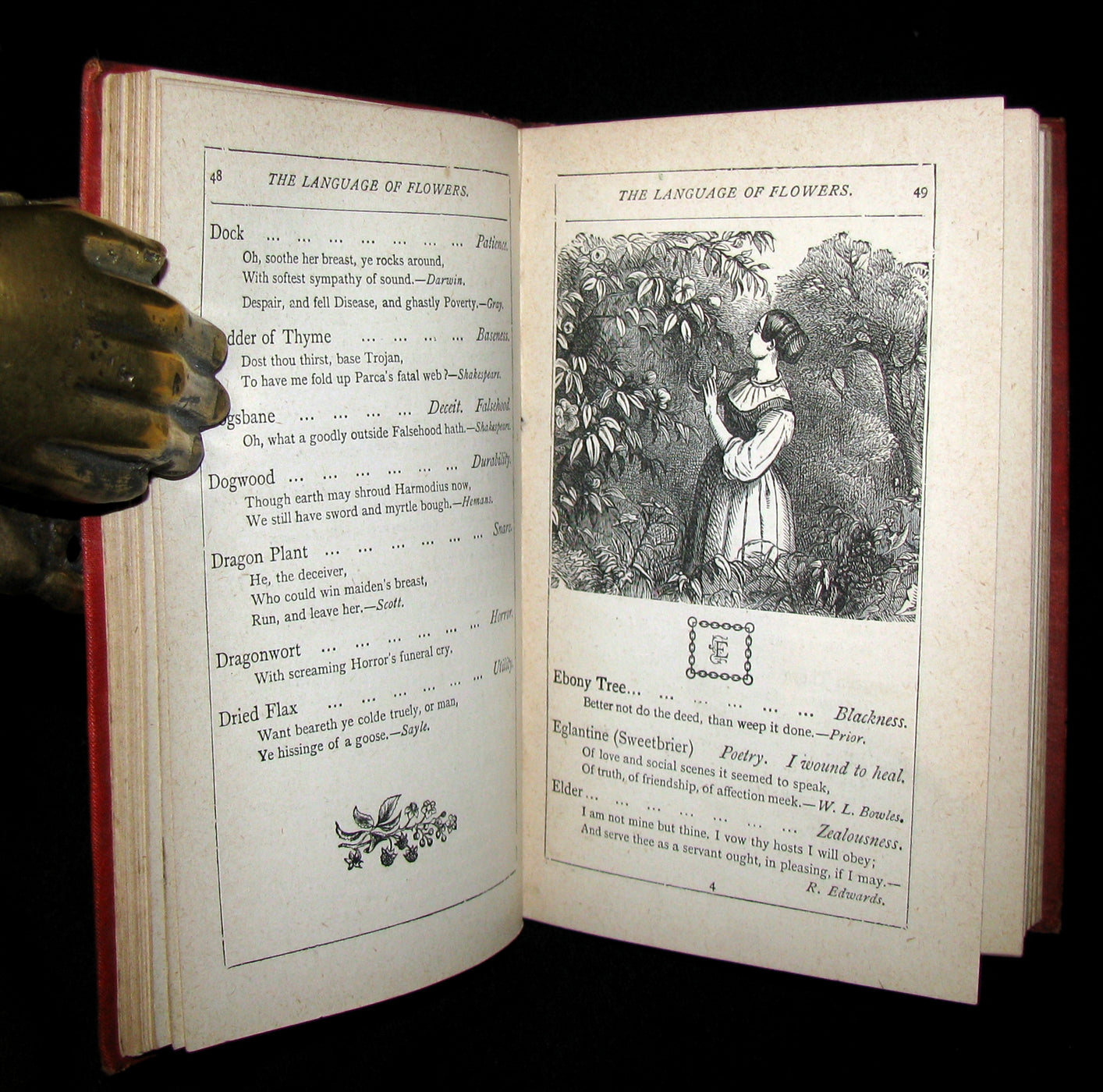 1880 Rare Floriography Book ~ The Language of Flowers with a Complete ...