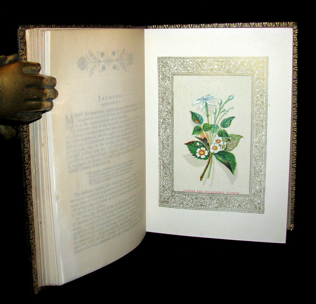 1869 Rare Floriography Book ~ FLORA SYMBOLICA or The language and sent ...
