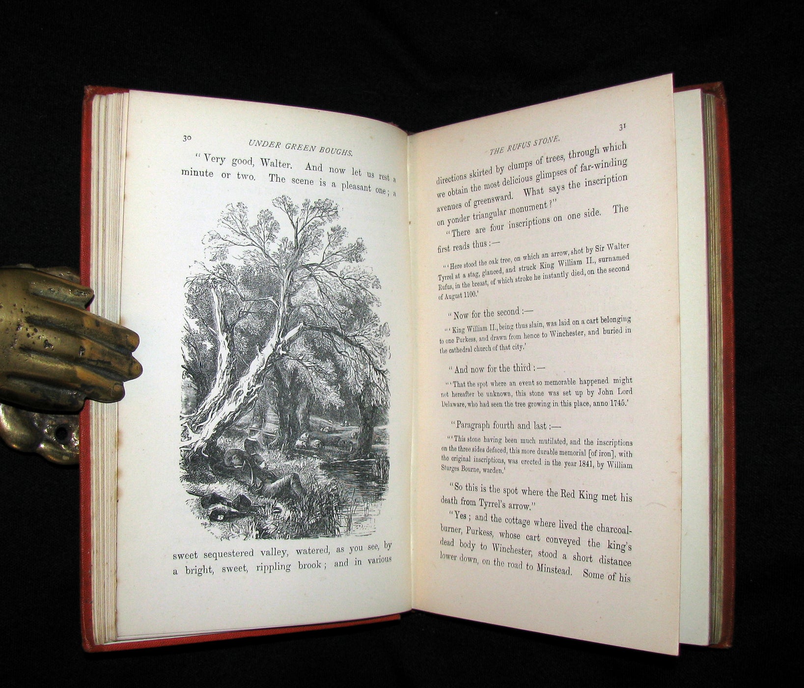 1873 Scarce Book - WALTER IN THE WOODS - The Trees and Common Objects ...