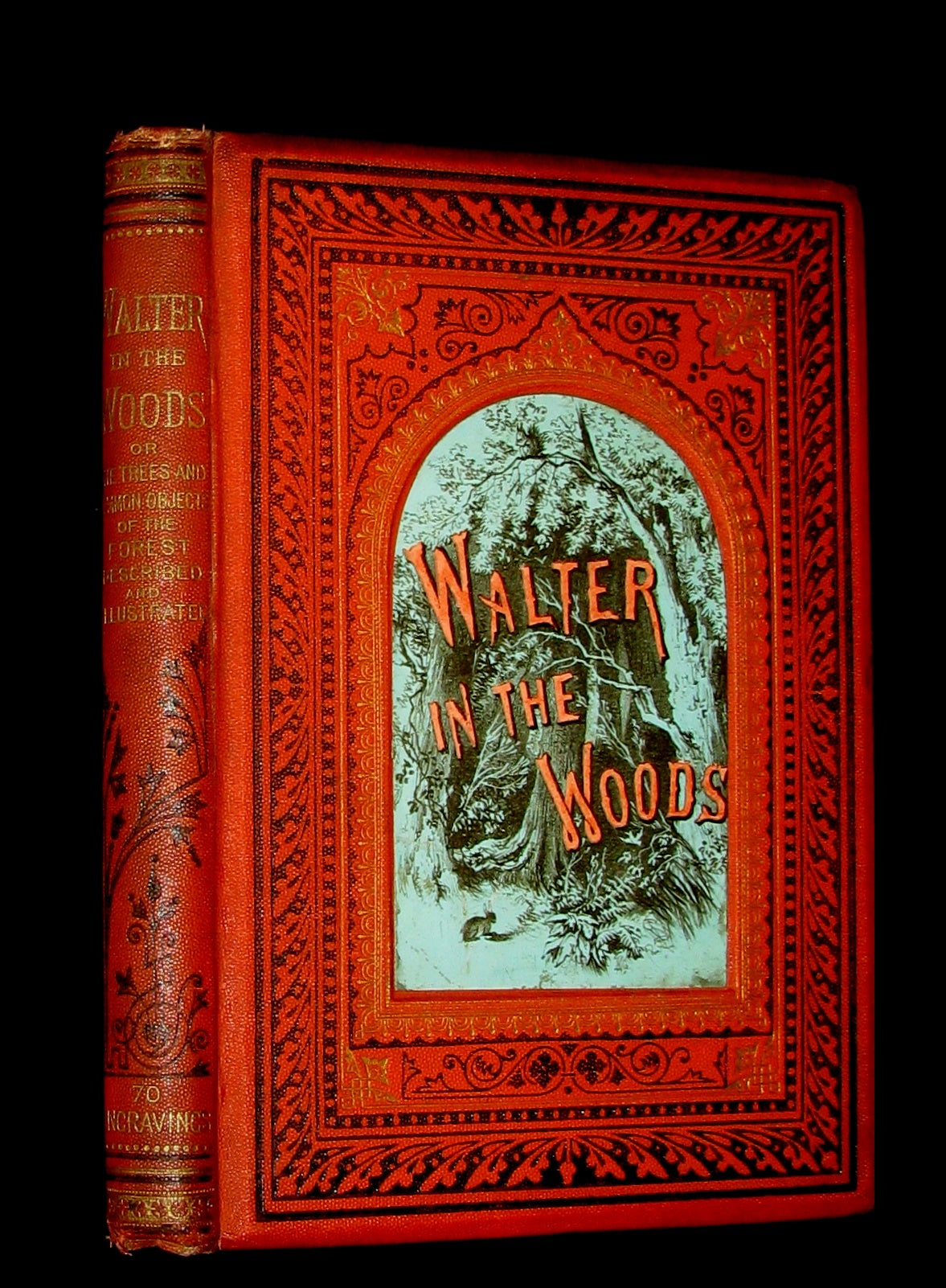 1873 Scarce Book - WALTER IN THE WOODS - The Trees and Common Objects ...