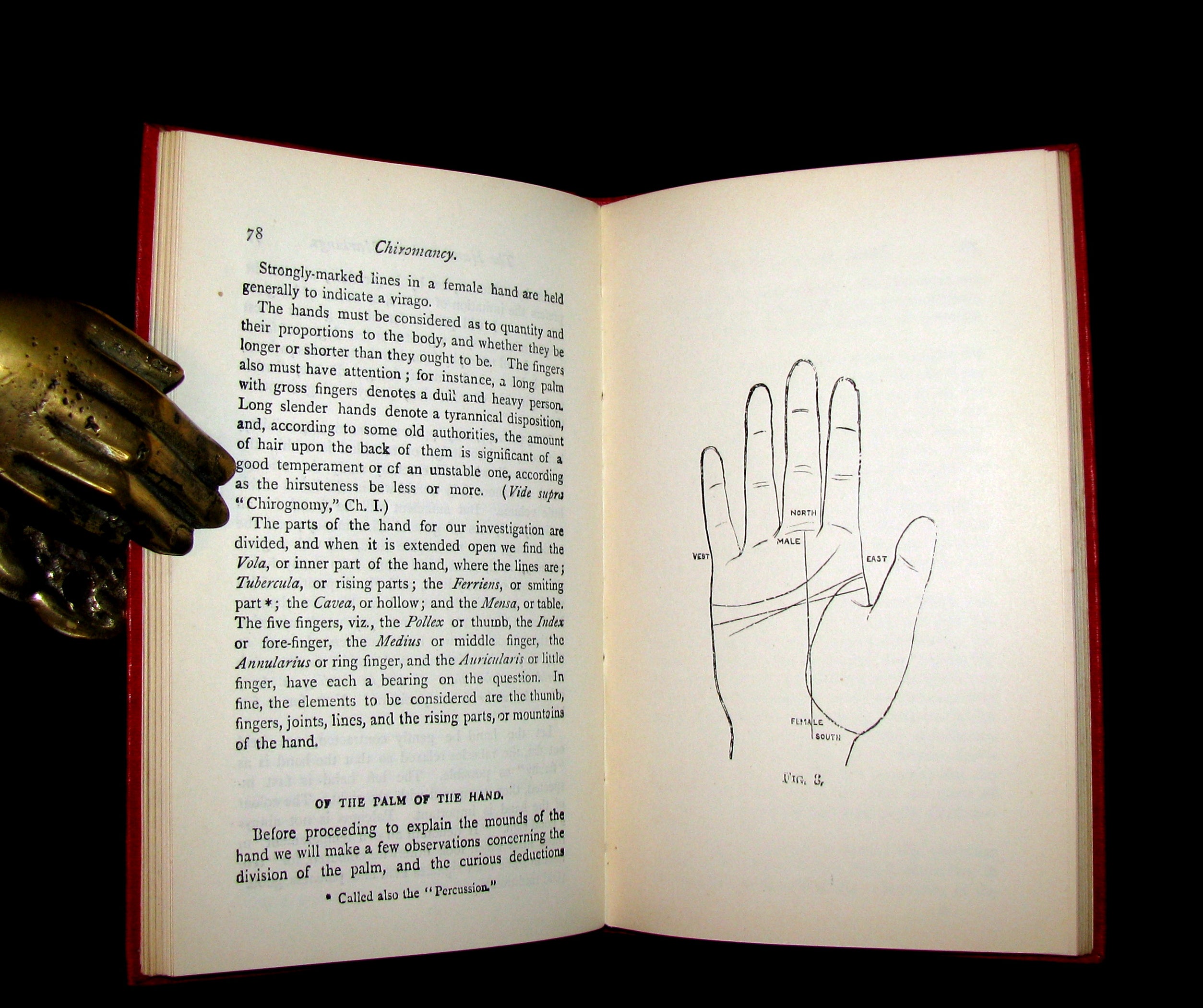 1900 Scarce CHIROMANCY Book - The Science of Palmistry by Henry Frith ...