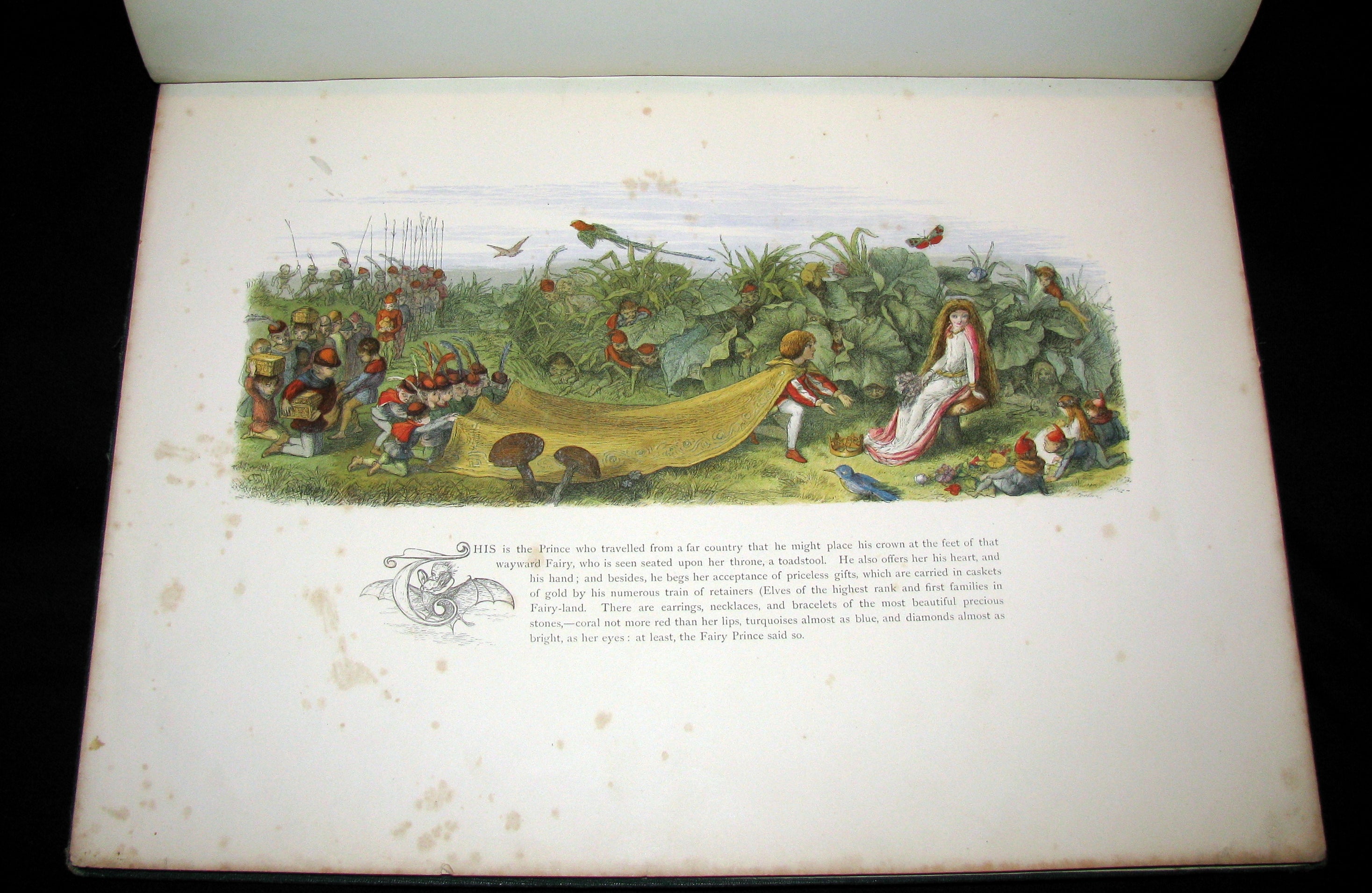 1875 Rare Richard Doyle Book - In FAIRYLAND : A Series of Pictures from ...