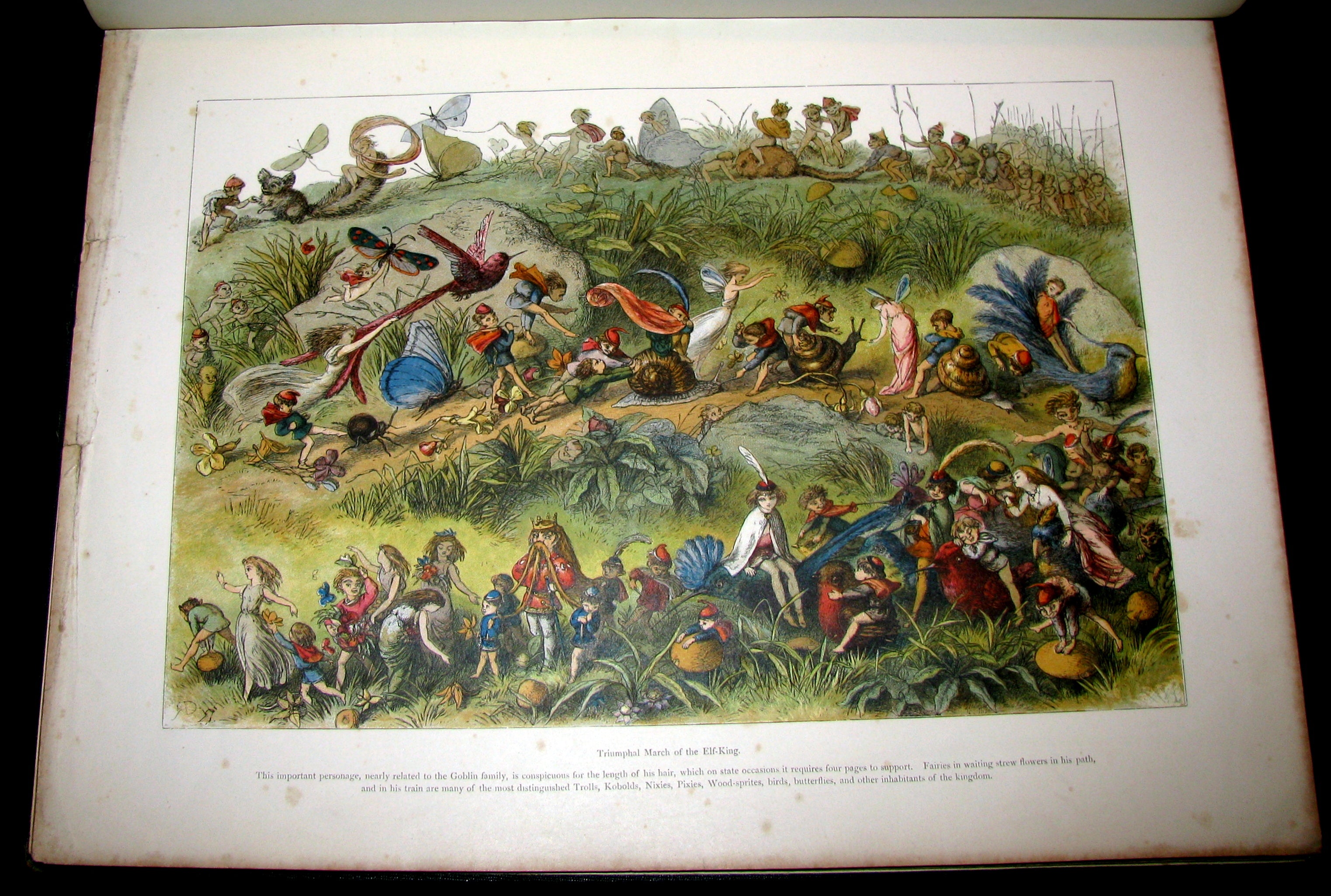 1875 Rare Richard Doyle Book - In FAIRYLAND : A Series of Pictures from ...