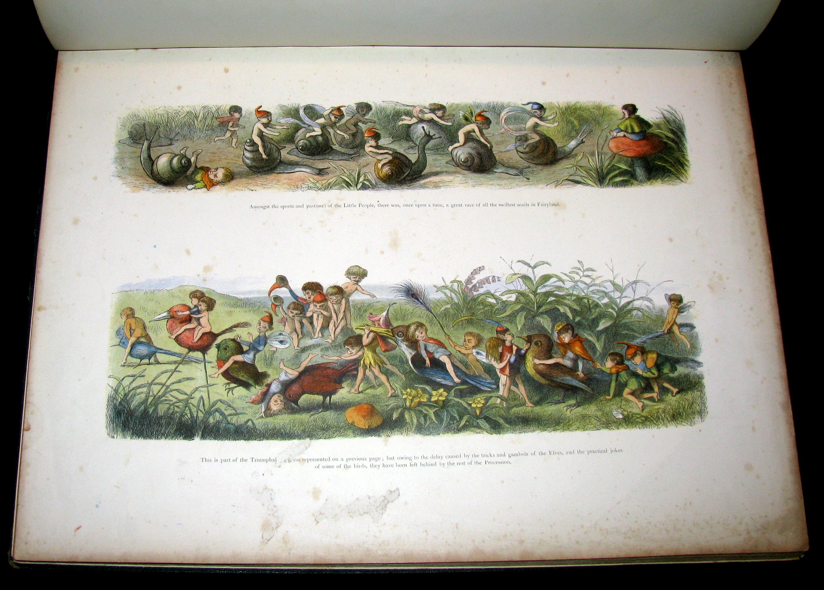 1875 Rare Richard Doyle Book - In FAIRYLAND : A Series of Pictures from ...