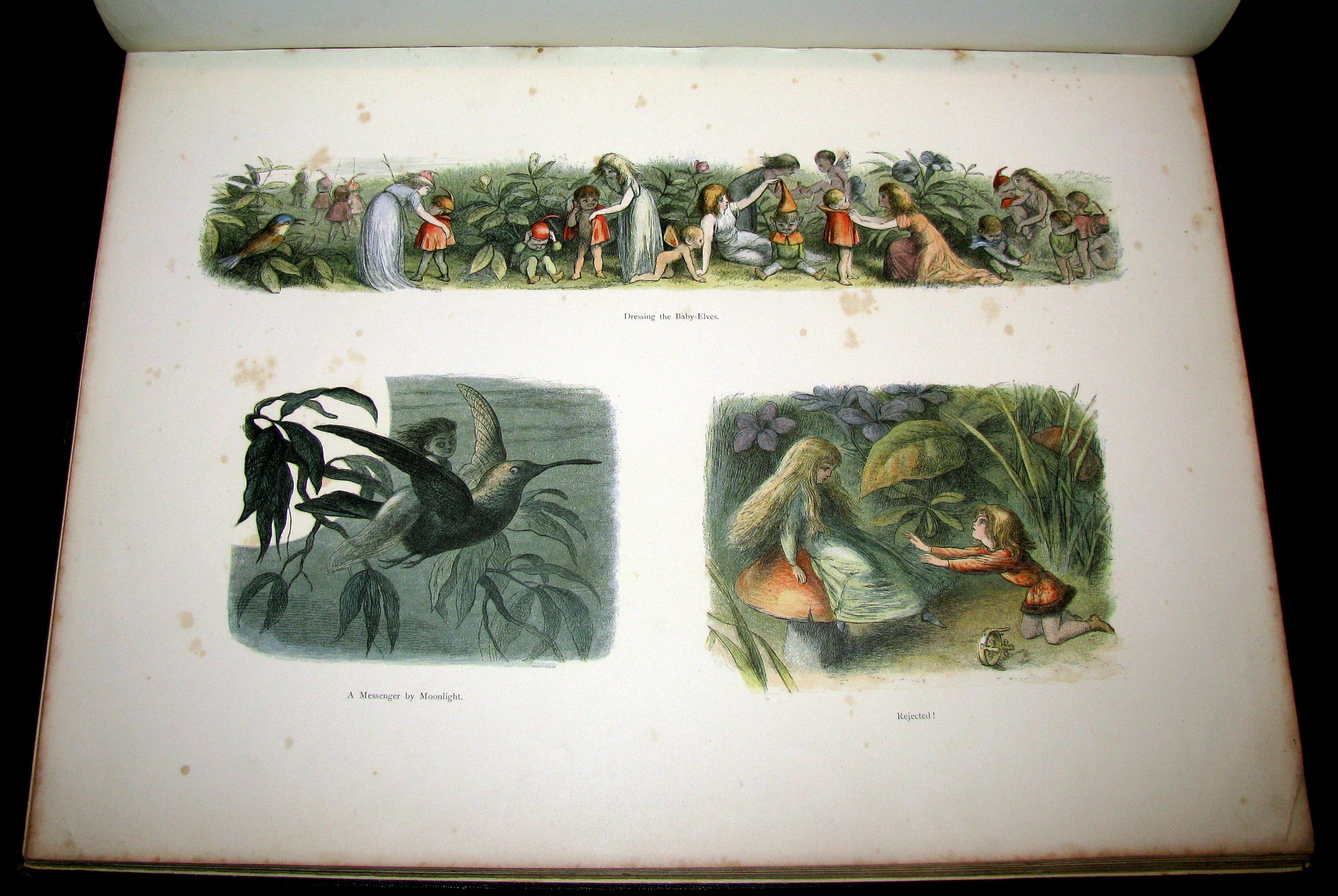 1875 Rare Richard Doyle Book - In FAIRYLAND : A Series of Pictures from ...