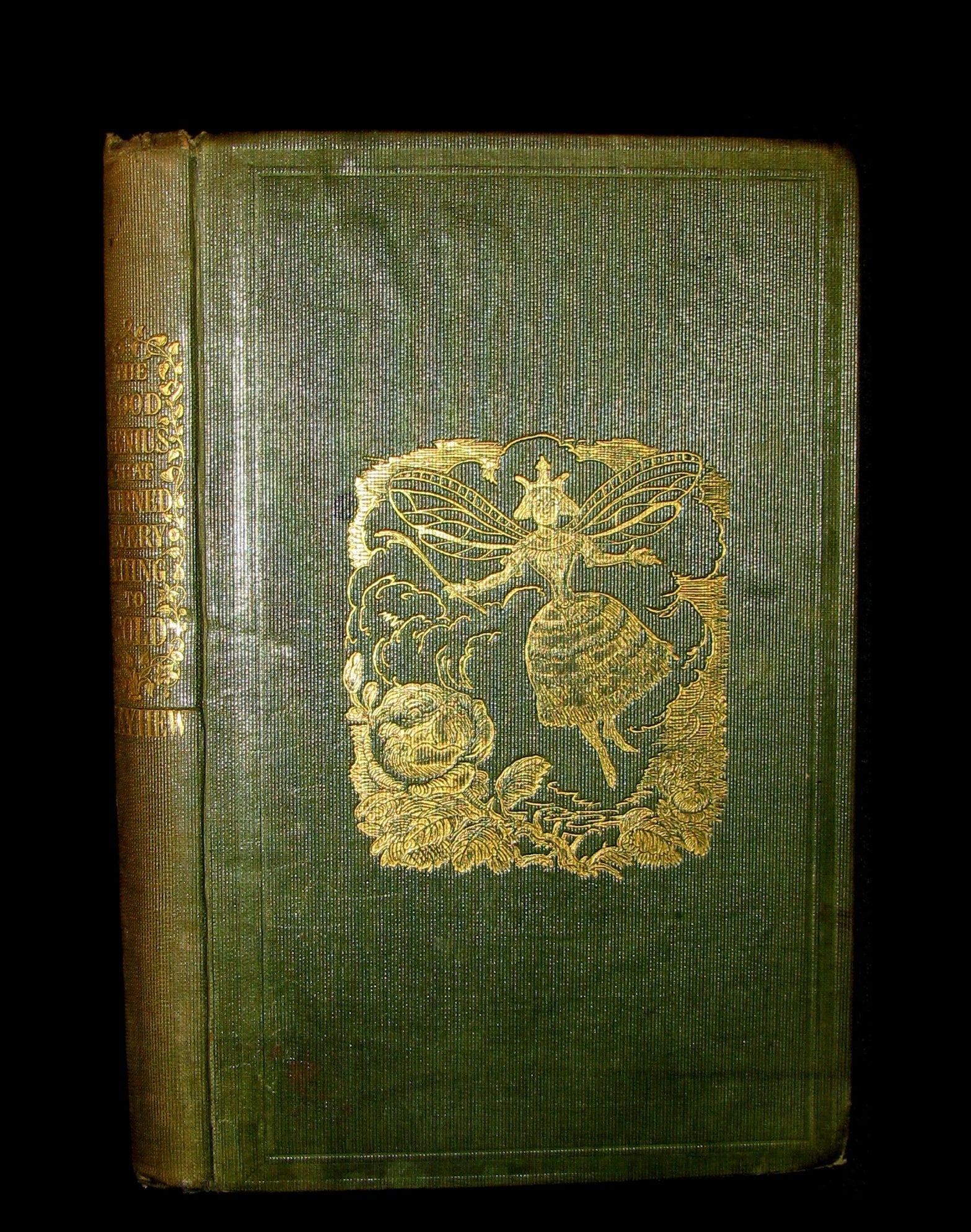 1847 Scarce 1stED - The Good Genius that Turned Everything into Gold; A ...