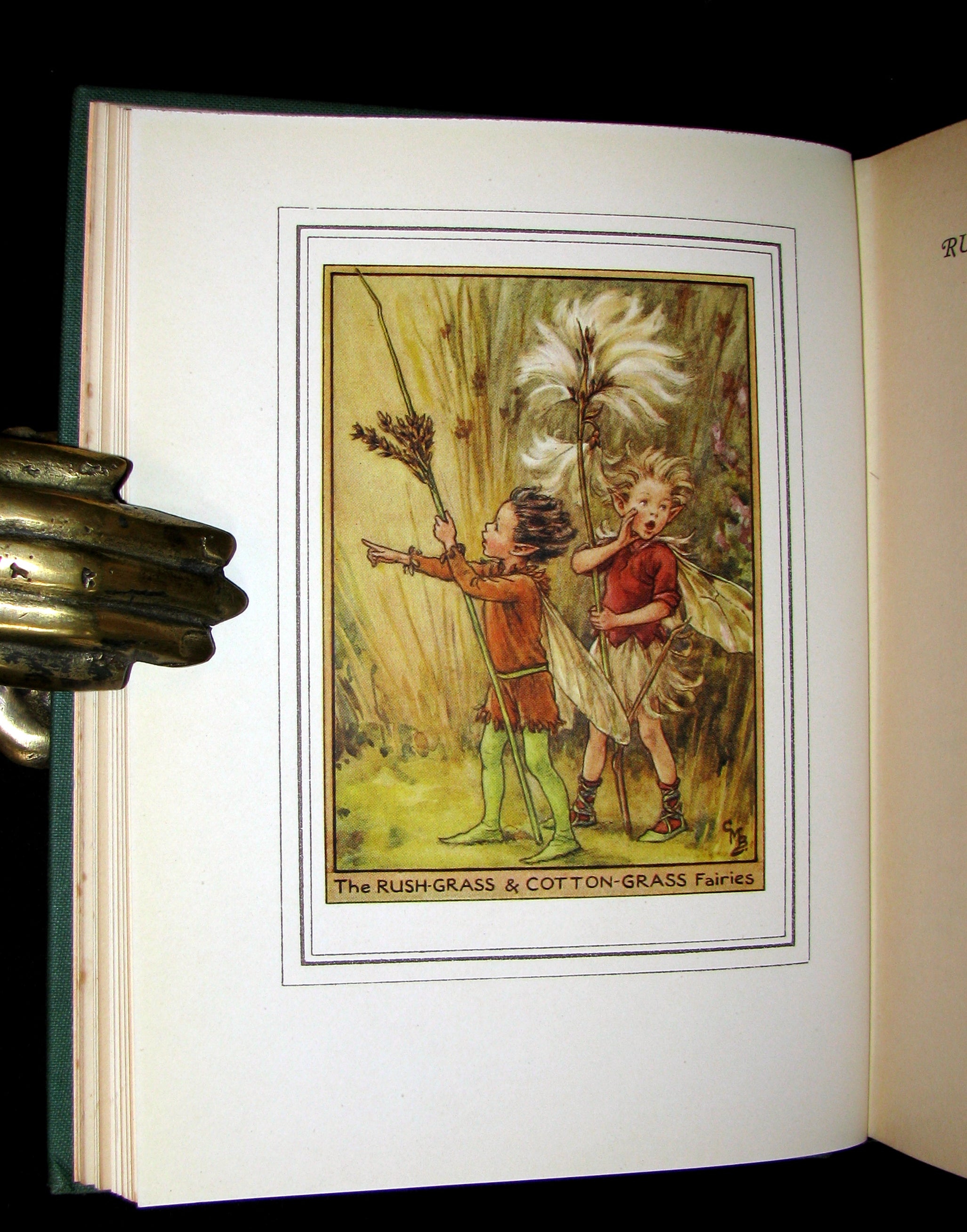 1950 Rare Cicely Mary Barker Book - FAIRIES OF THE FLOWERS AND TREES ...