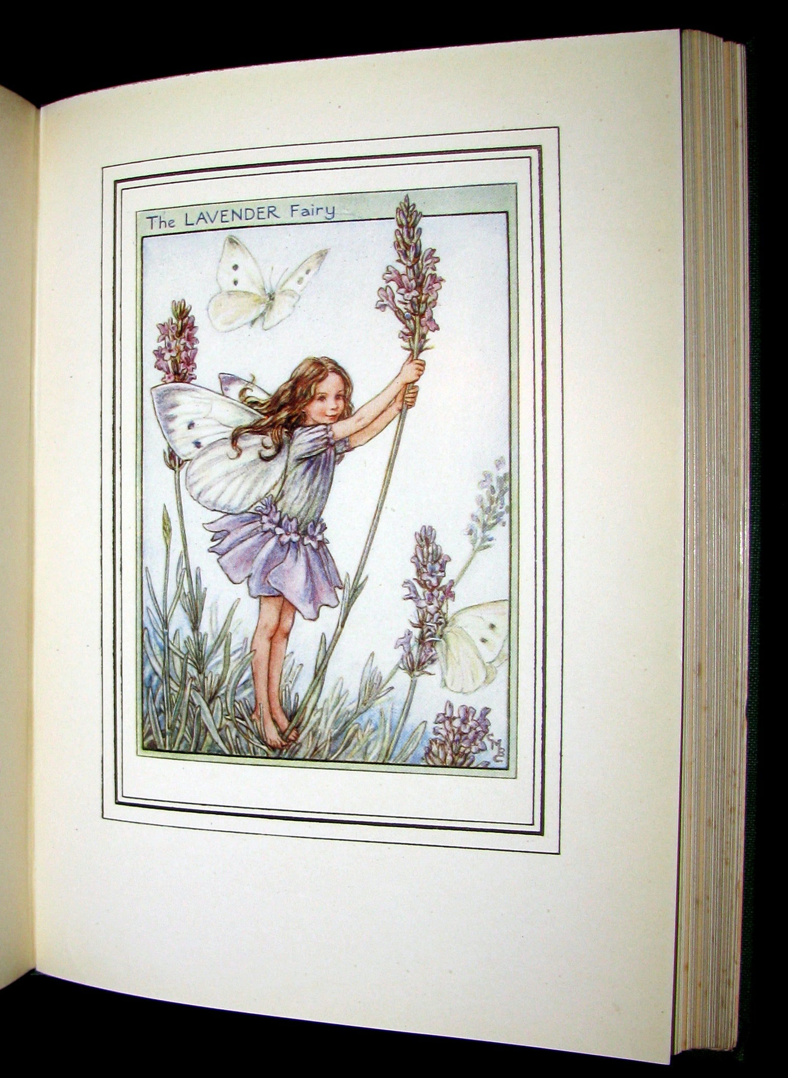 1950 Rare Cicely Mary Barker Book - FAIRIES OF THE FLOWERS AND TREES ...