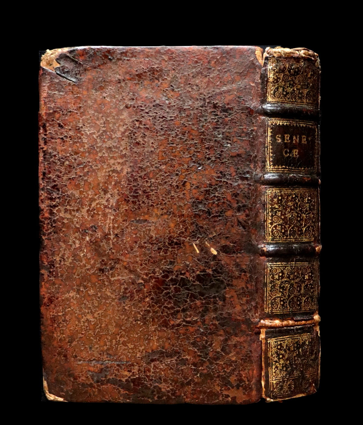 1651 Rare Latin Book - SENECA - L. Annæi Senecæ - Tragedies - Medea ...