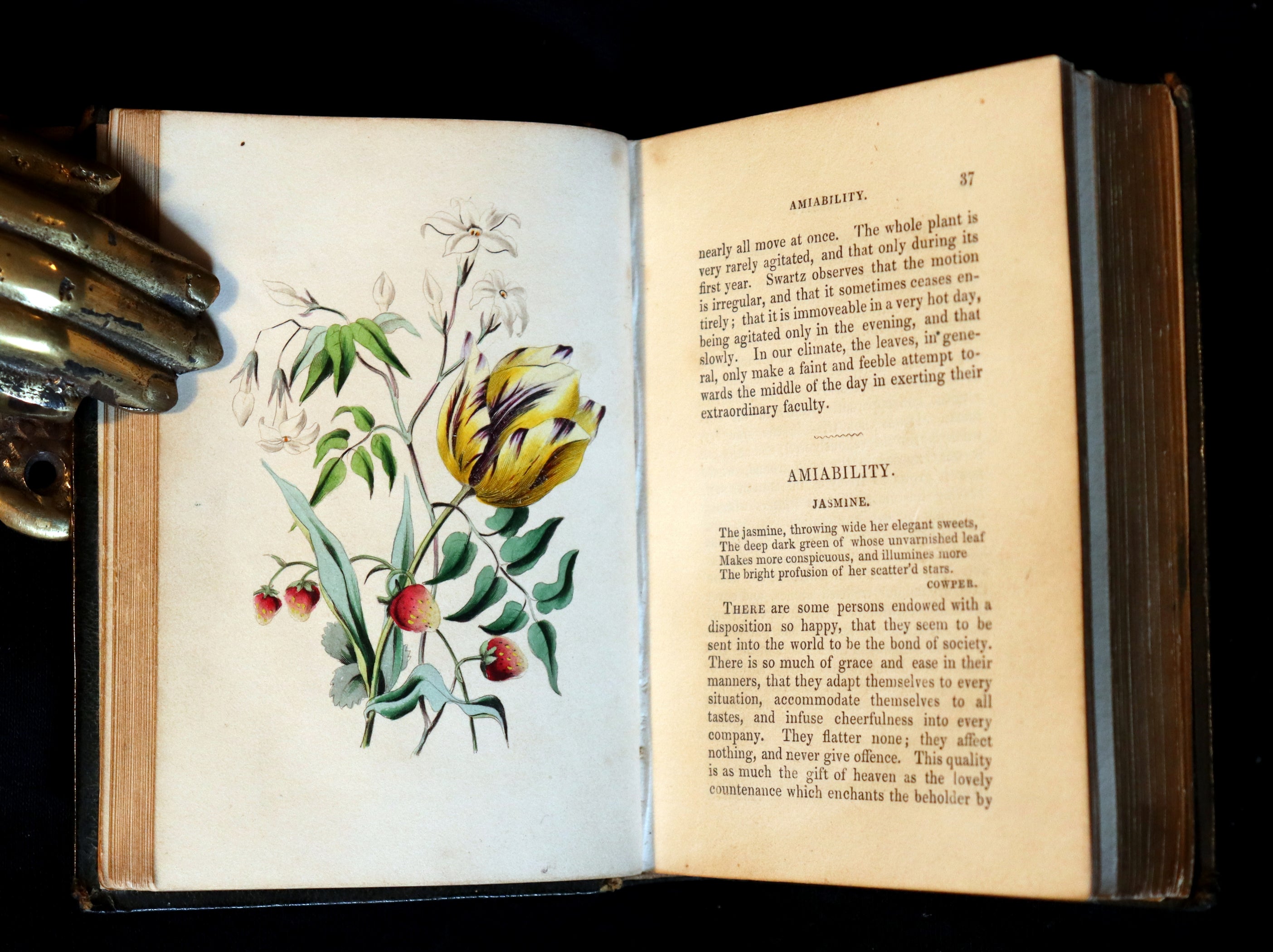 1841 Rare Floriography Book ~ Sentiment of Flowers or Language of Flora ...
