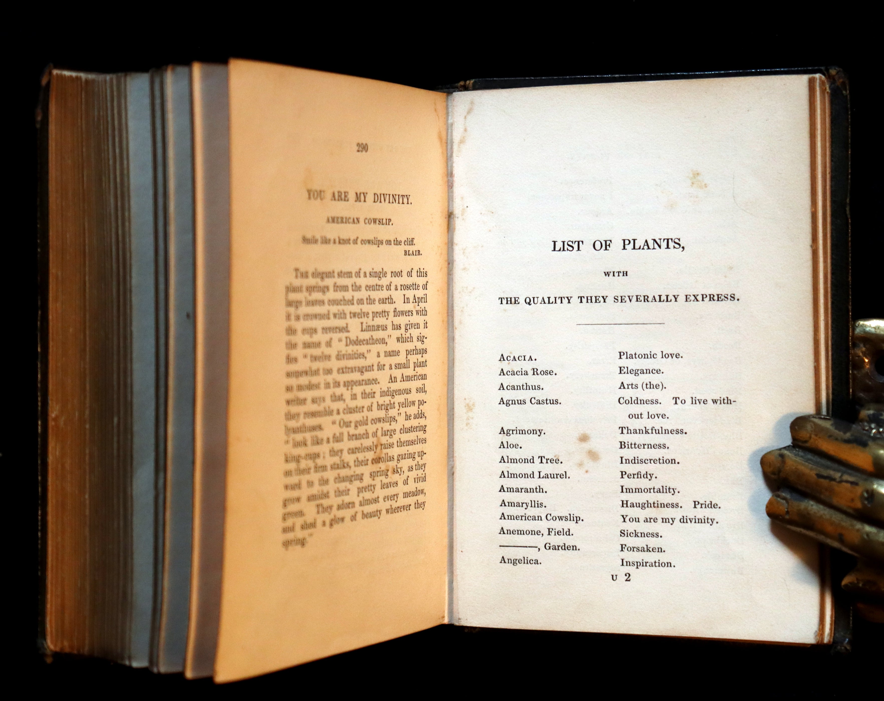 1841 Rare Floriography Book ~ Sentiment of Flowers or Language of Flora ...