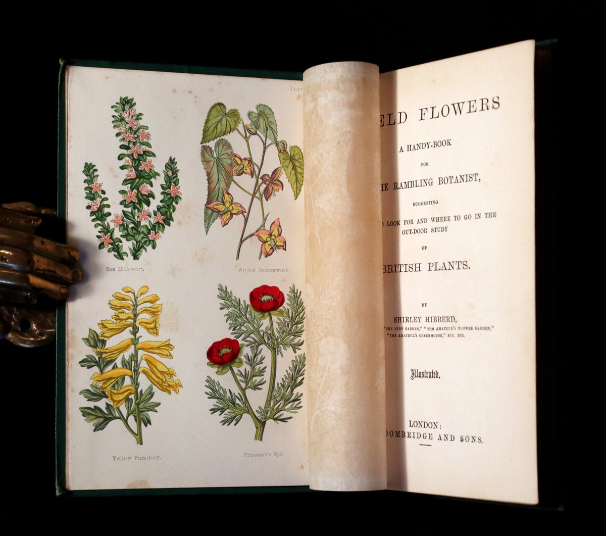 1870 Rare Victorian Book - FIELD FLOWERS, A handy-book for the ramblin ...