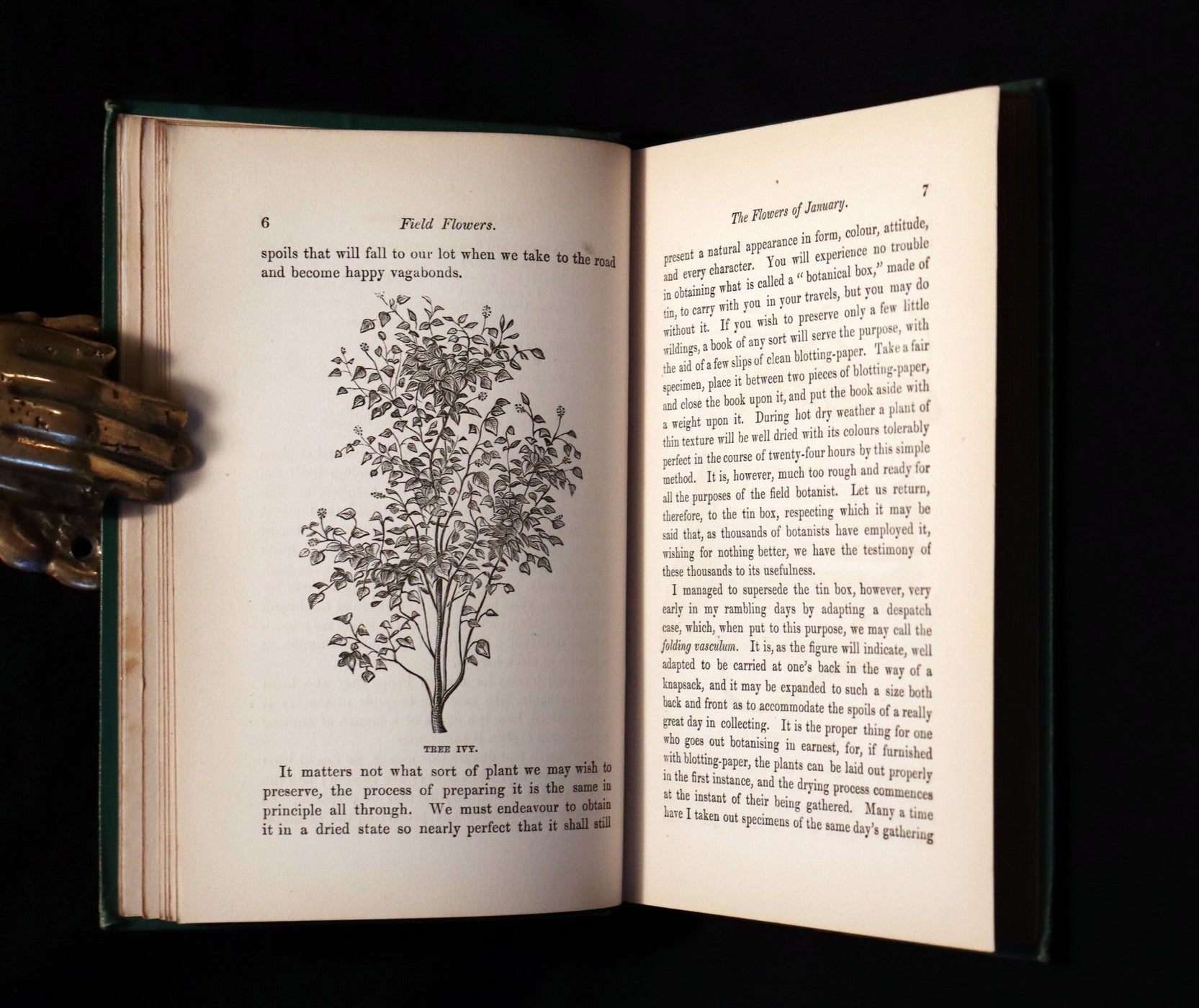 1870 Rare Victorian Book - FIELD FLOWERS, A handy-book for the rambling ...