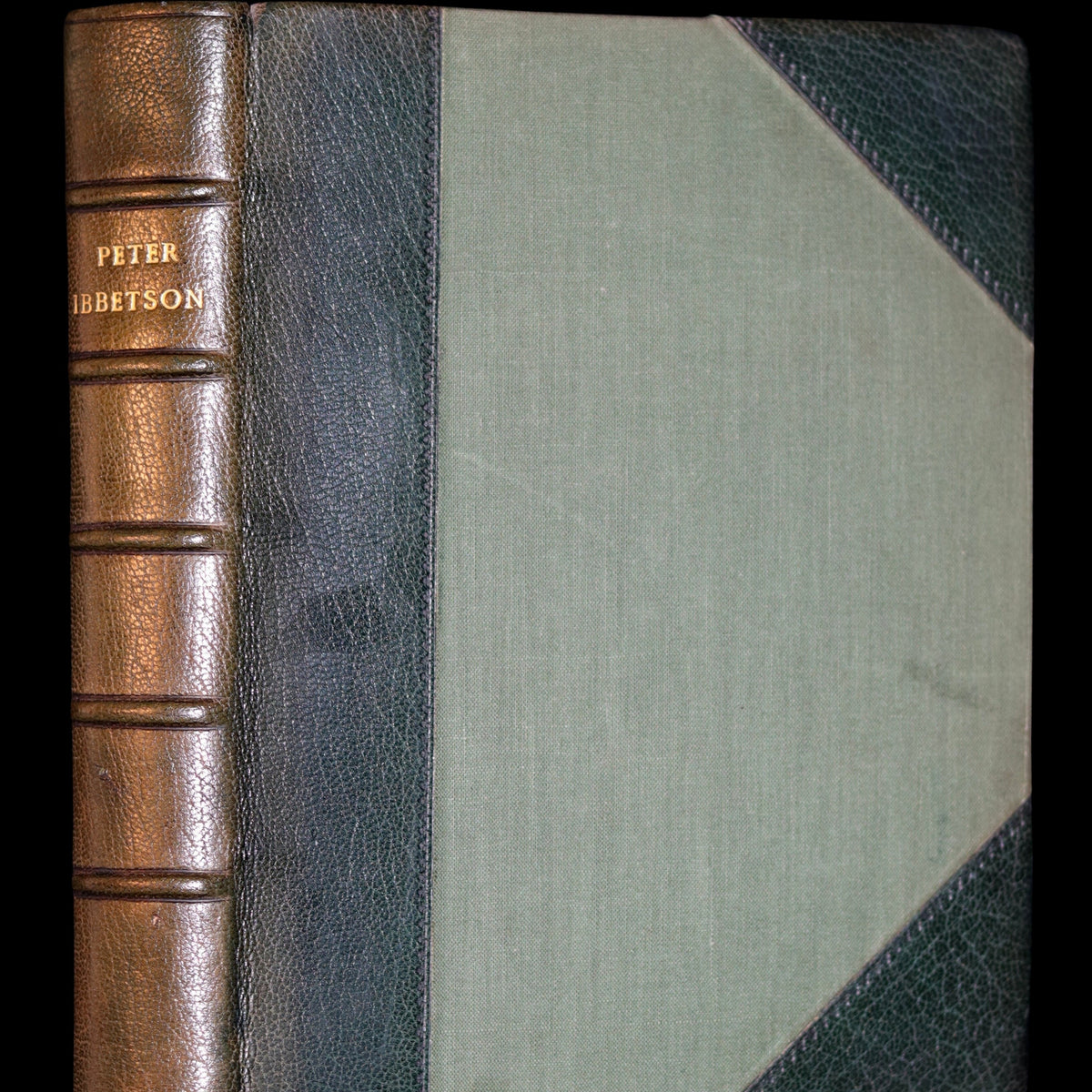 1896 Rare Book - Peter Ibbetson - A strange tale of Communication ...