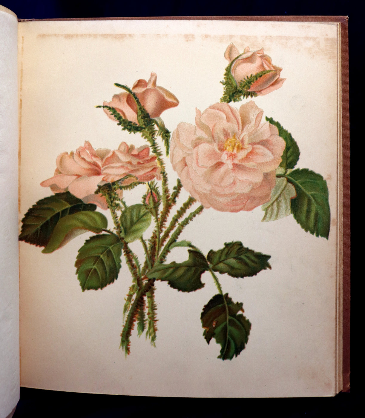 1886 Rare Victorian 1stED - FLOWERS FROM DELL AND BOWER, Poems ...