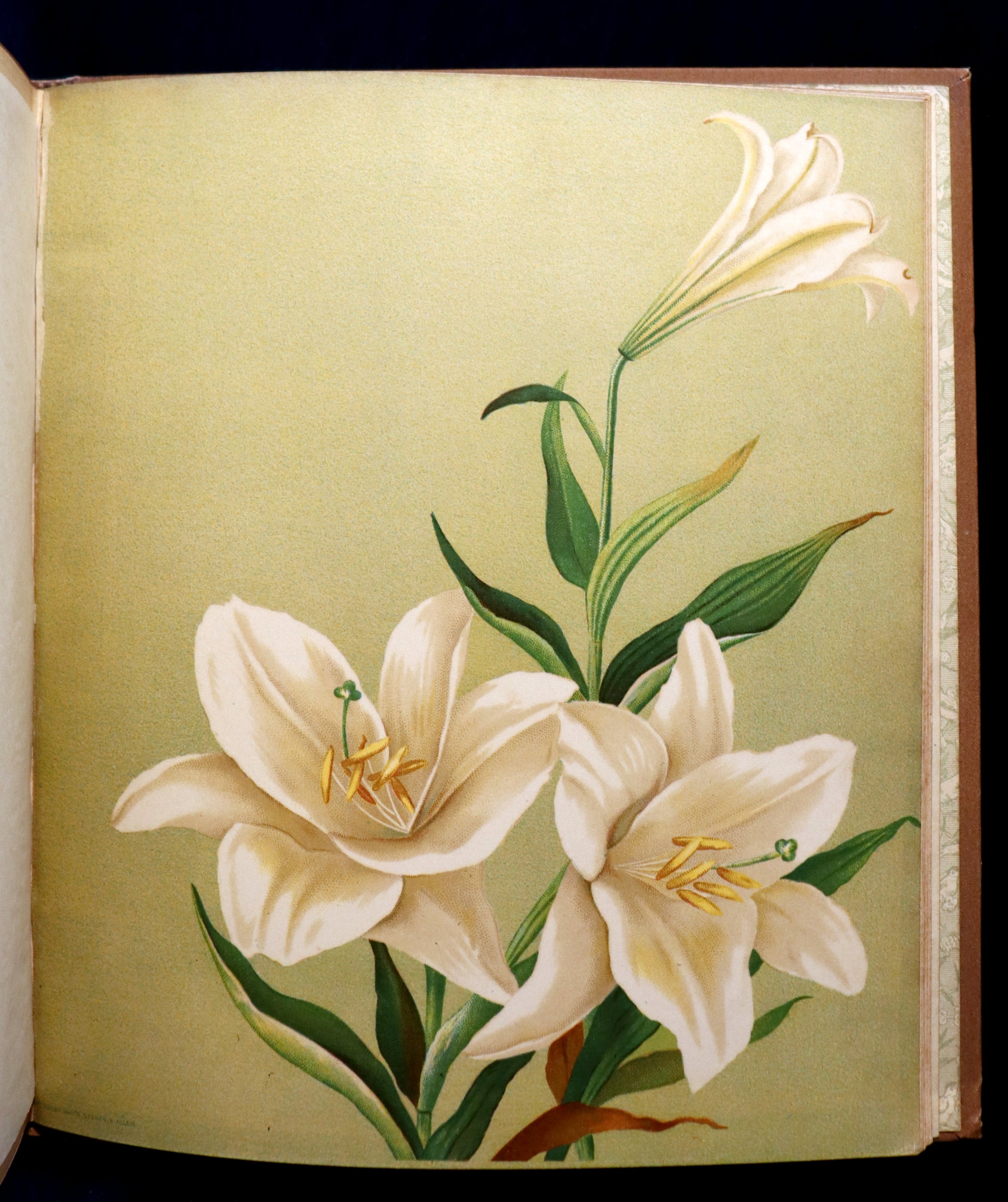 1886 Rare Victorian 1stED - FLOWERS FROM DELL AND BOWER, Poems ...