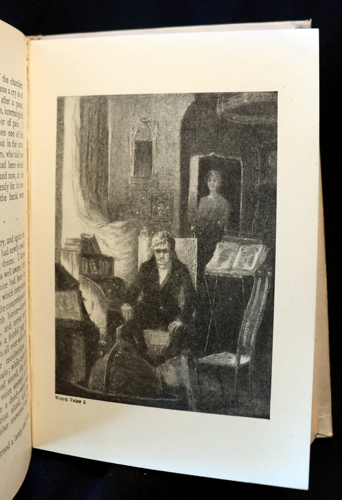 1895 Rare Book - Weird Tales by Edgar Allan POE Illustrated (Black Cat ...