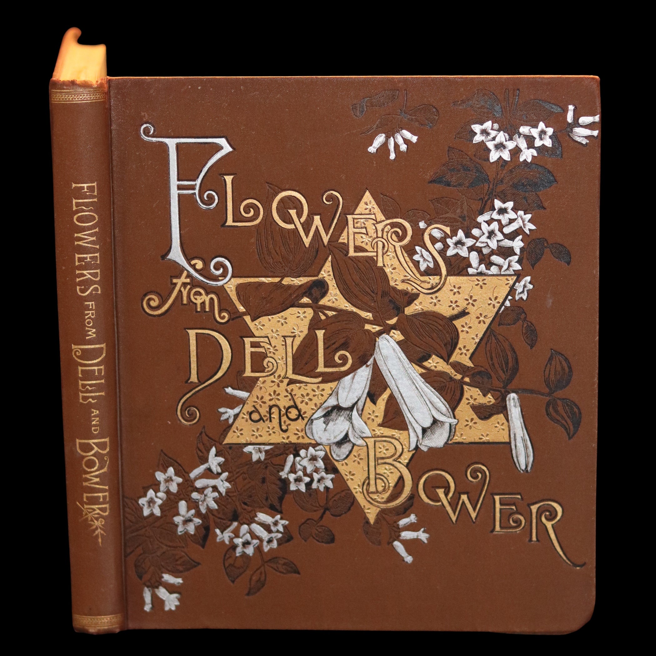 1886 Rare Victorian First Edition - FLOWERS FROM DELL AND BOWER ...