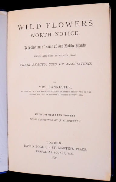 1880 Rare Floriography Book ~ The Language of Flowers by Robert Tyas ...