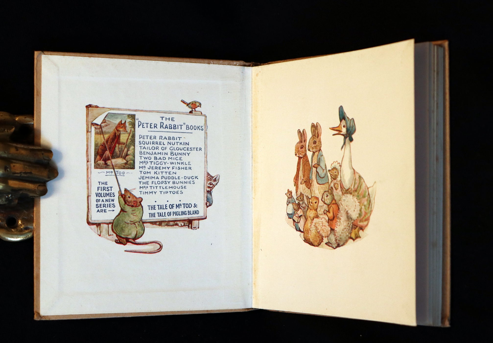 1916 Rare First Edition Book - Beatrix Potter - The Story of A FIERCE ...