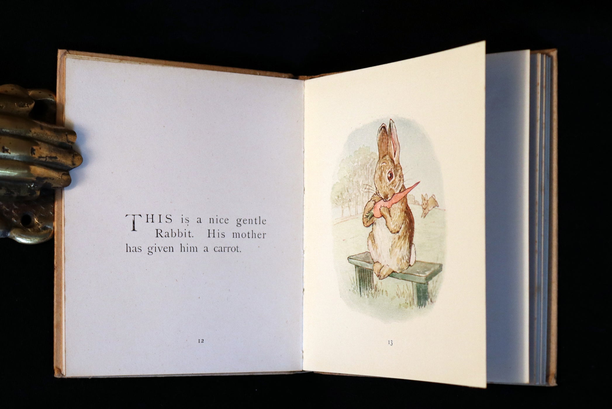 1916 Rare First Edition Book - Beatrix Potter - The Story of A FIERCE ...