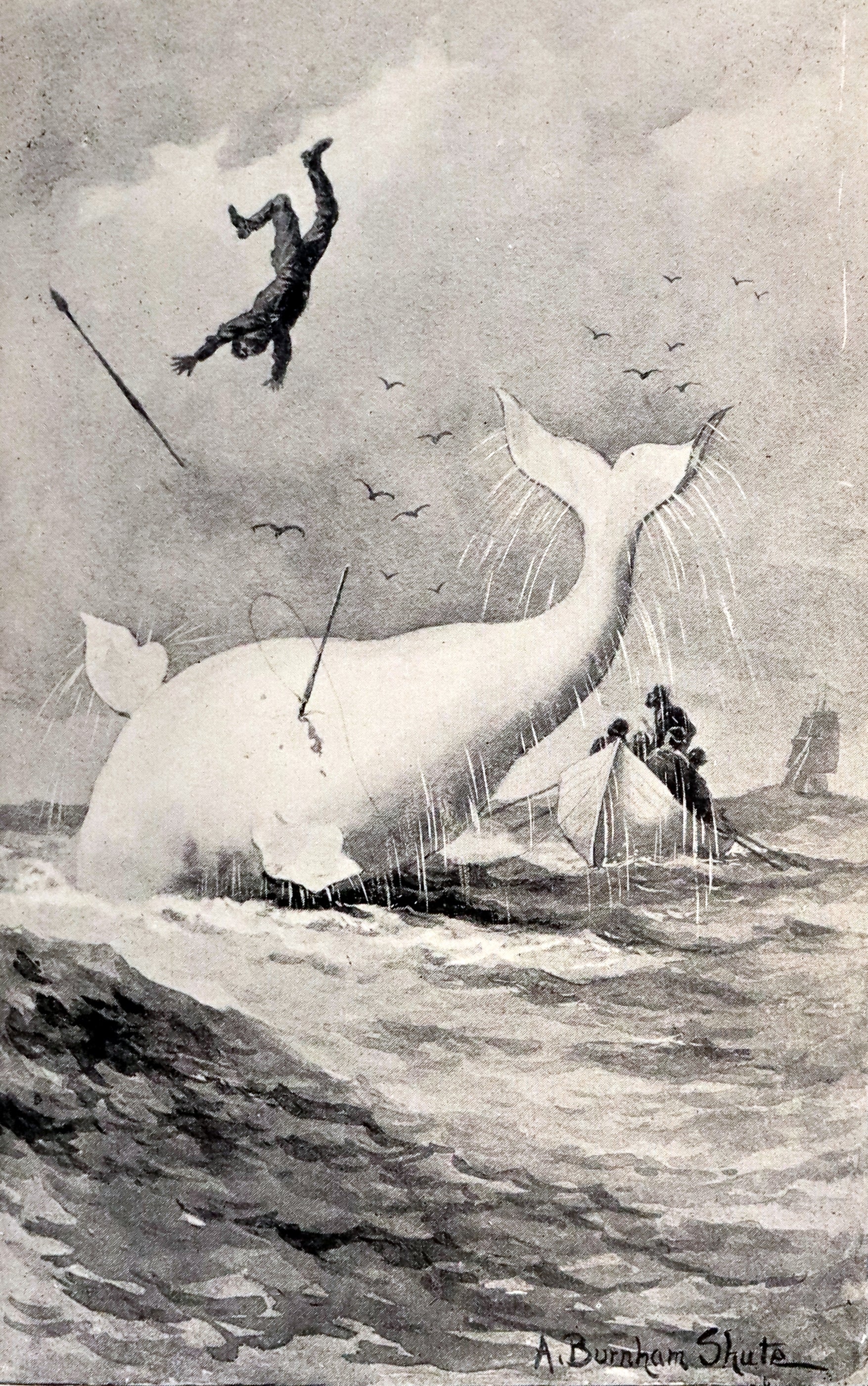 1922 Rare Book - MOBY DICK or The White Whale by Herman Melville ...