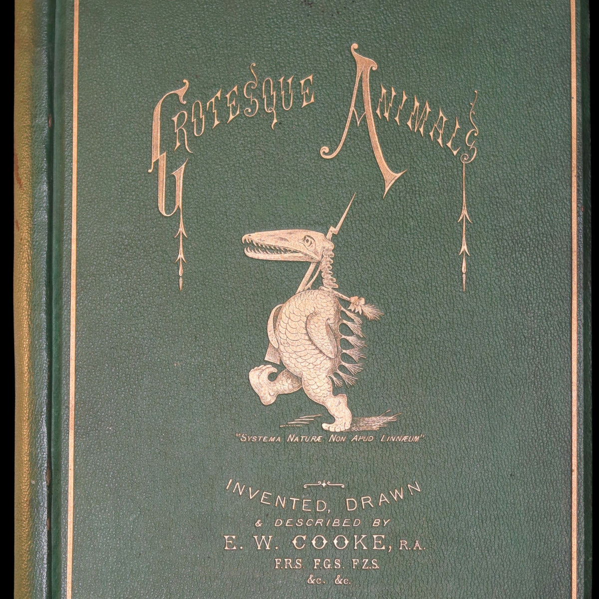 1872 Scarce First Edition - GROTESQUE ANIMALS Invented, Drawn and ...