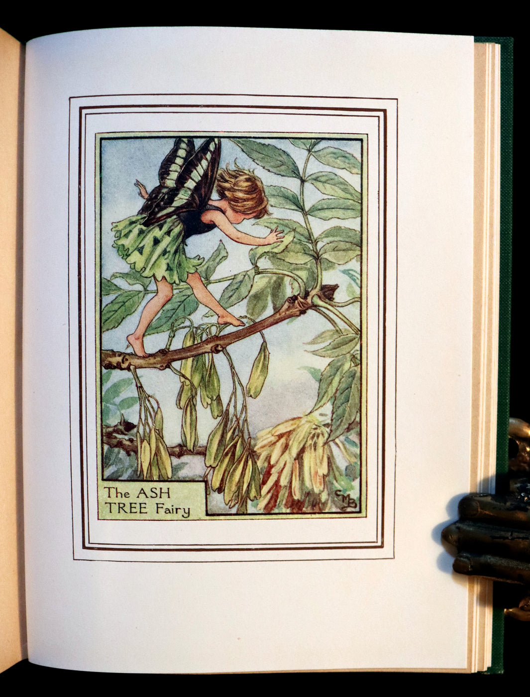 1950 Rare Cicely Mary Barker Book - FAIRIES OF THE FLOWERS AND TREES ...