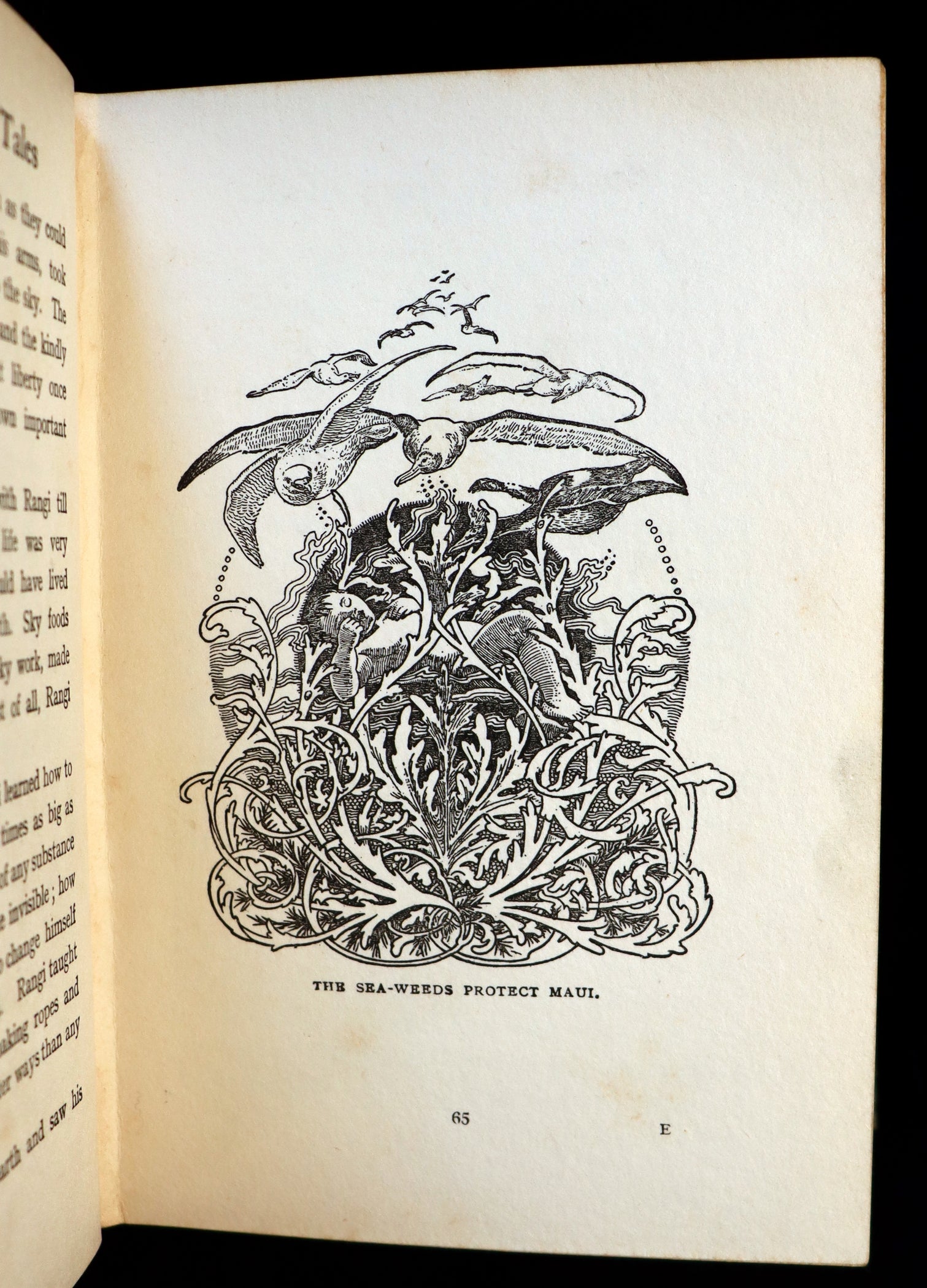 1936 Scarce Book - MAORILAND FAIRY TALES by Edith Howes - New Zealand ...