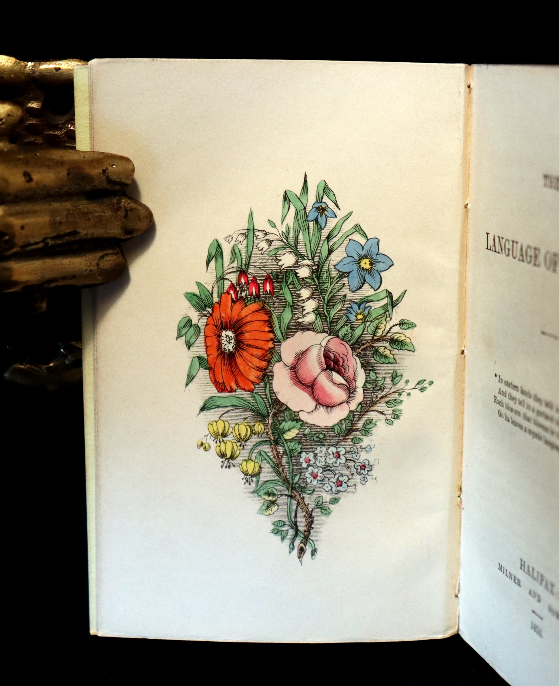 1852 Rare small Floriography Book ~ The Language of Flowers. — MFLIBRA ...