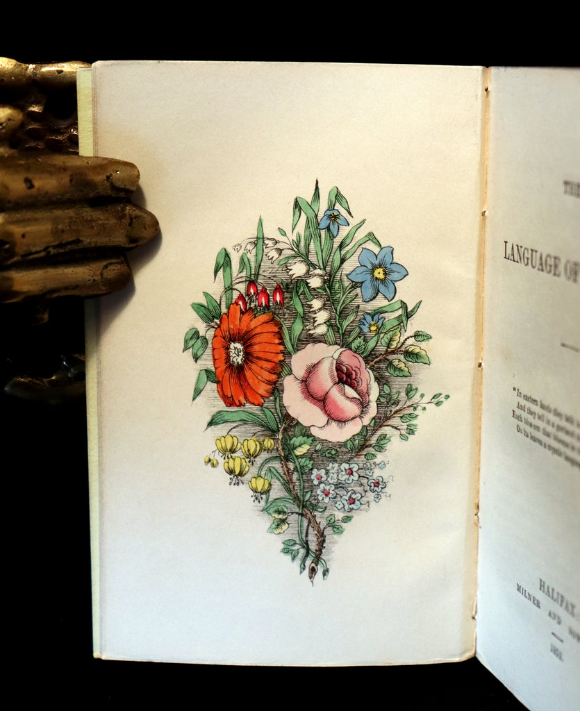 1852 Rare small Floriography Book ~ The Language of Flowers. – MFLIBRA ...
