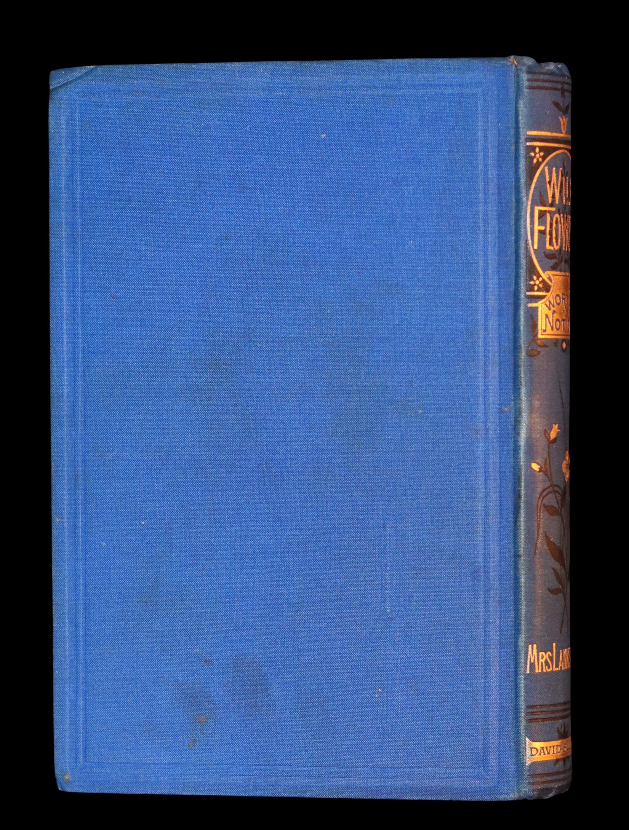 1879 Rare Victorian Book - WILD FLOWERS Worth Notice by British ...