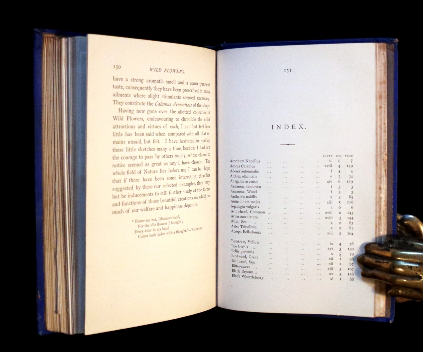 1879 Rare Victorian Book - WILD FLOWERS Worth Notice by British ...