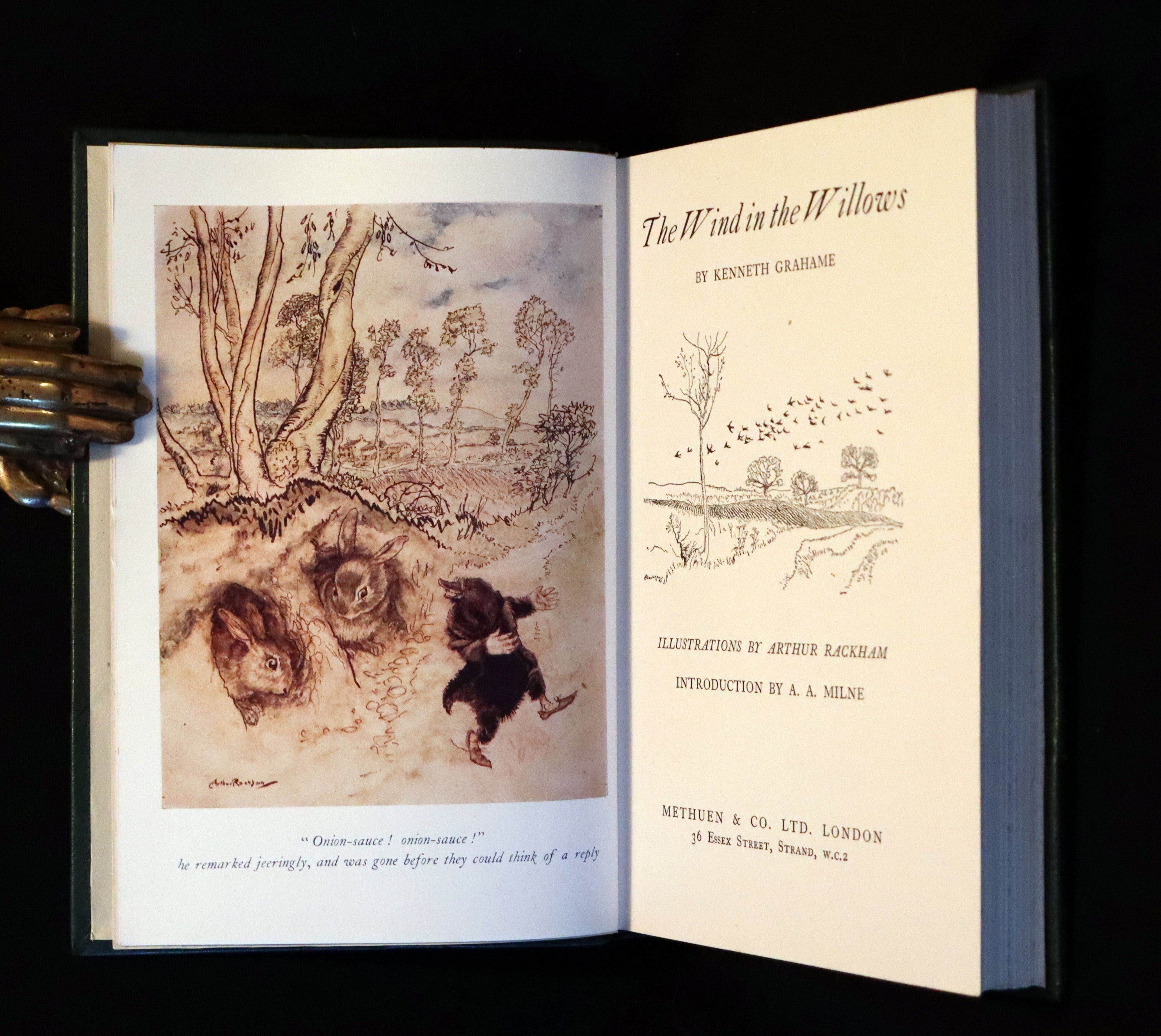 1950 Rare Book - The WIND IN THE WILLOWS. First Edition illustrated by ...