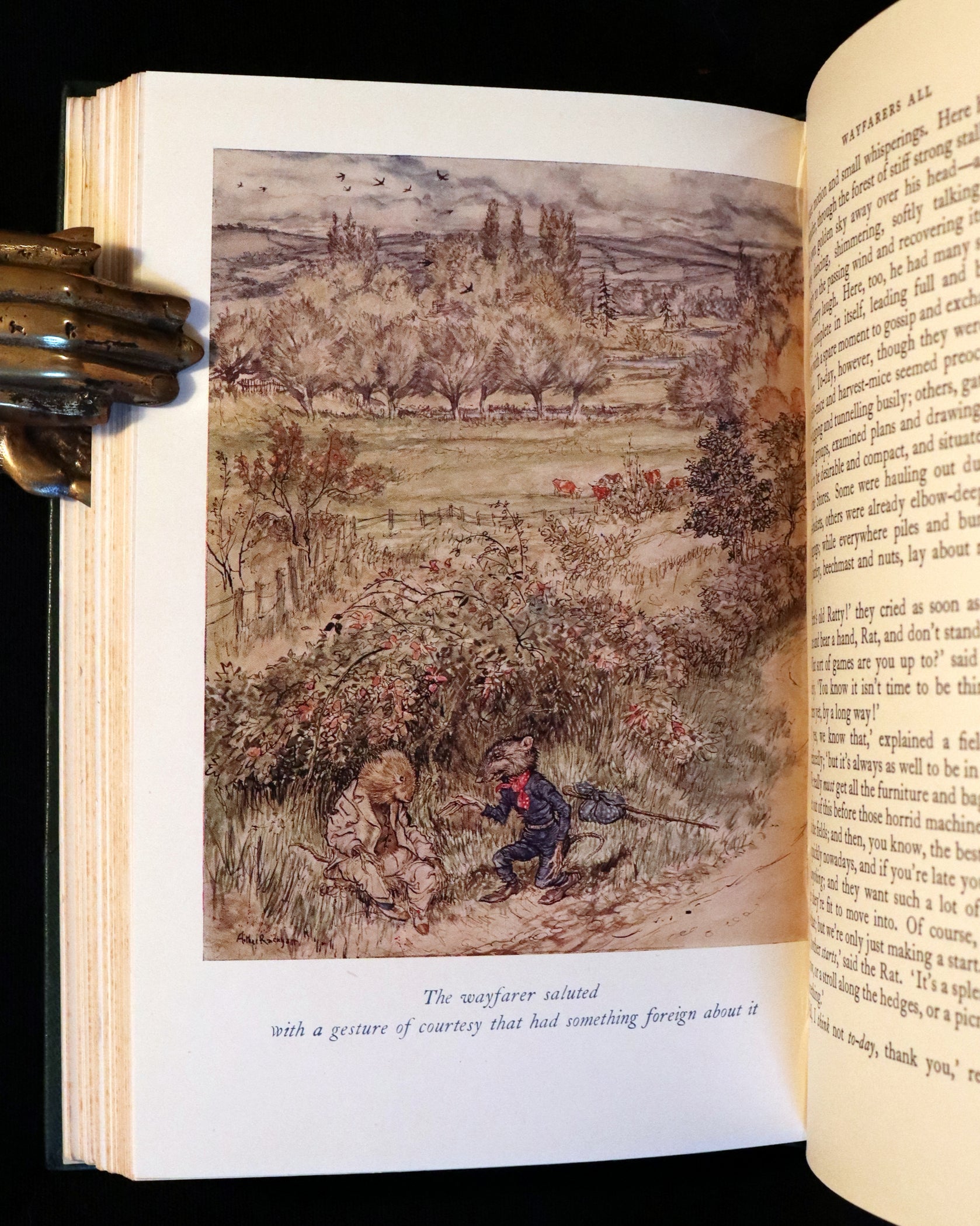 1950 Rare Book - The WIND IN THE WILLOWS. First Edition illustrated by ...