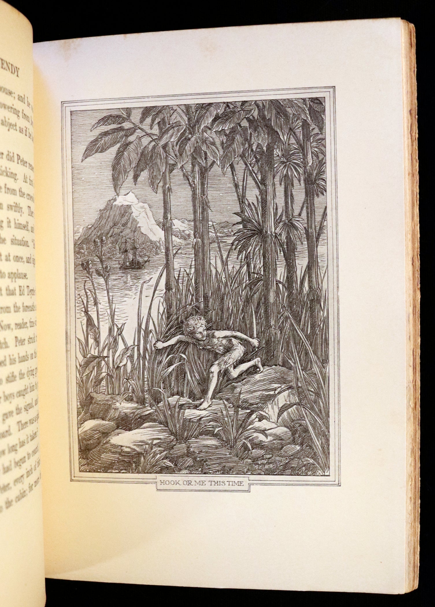 1911 Peter Pan First Edition - Peter and Wendy — MFLIBRA - Antique Books