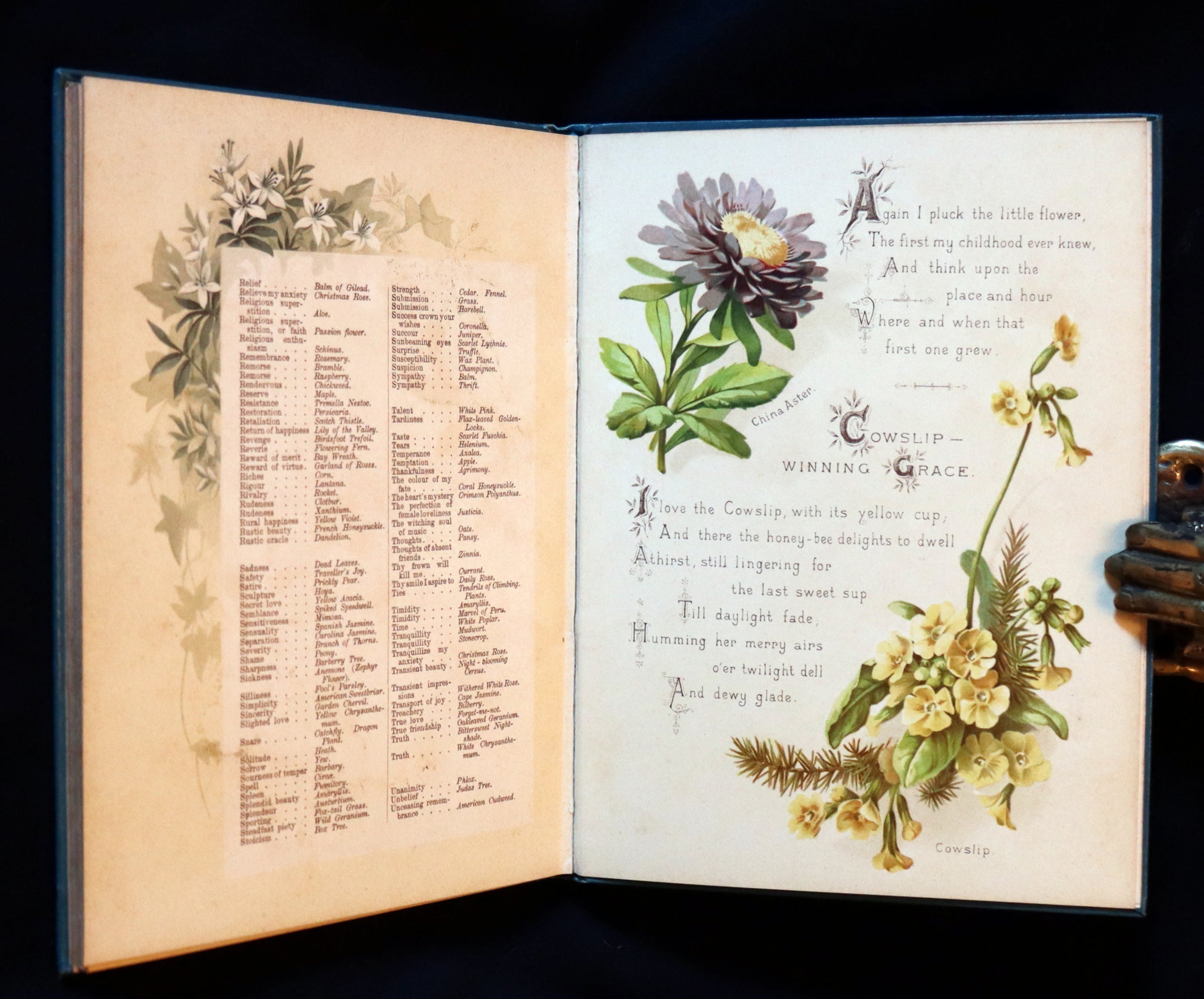 1880 Rare Floriography Book ~ The Language of Flowers by Robert Tyas ...