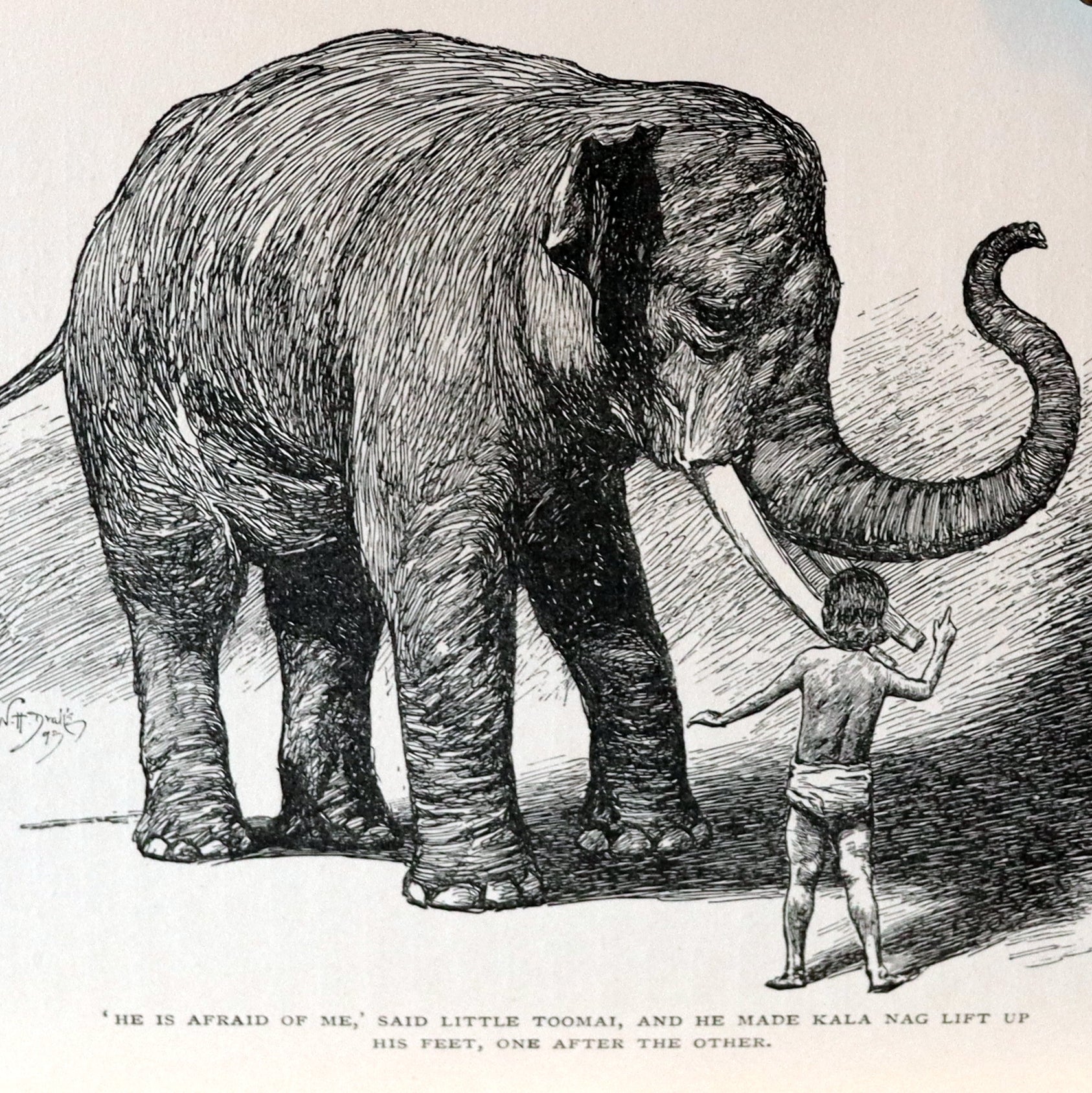 1898 Rare Book - The Jungle Book by Rudyard Kipling. Illustrated. by ...