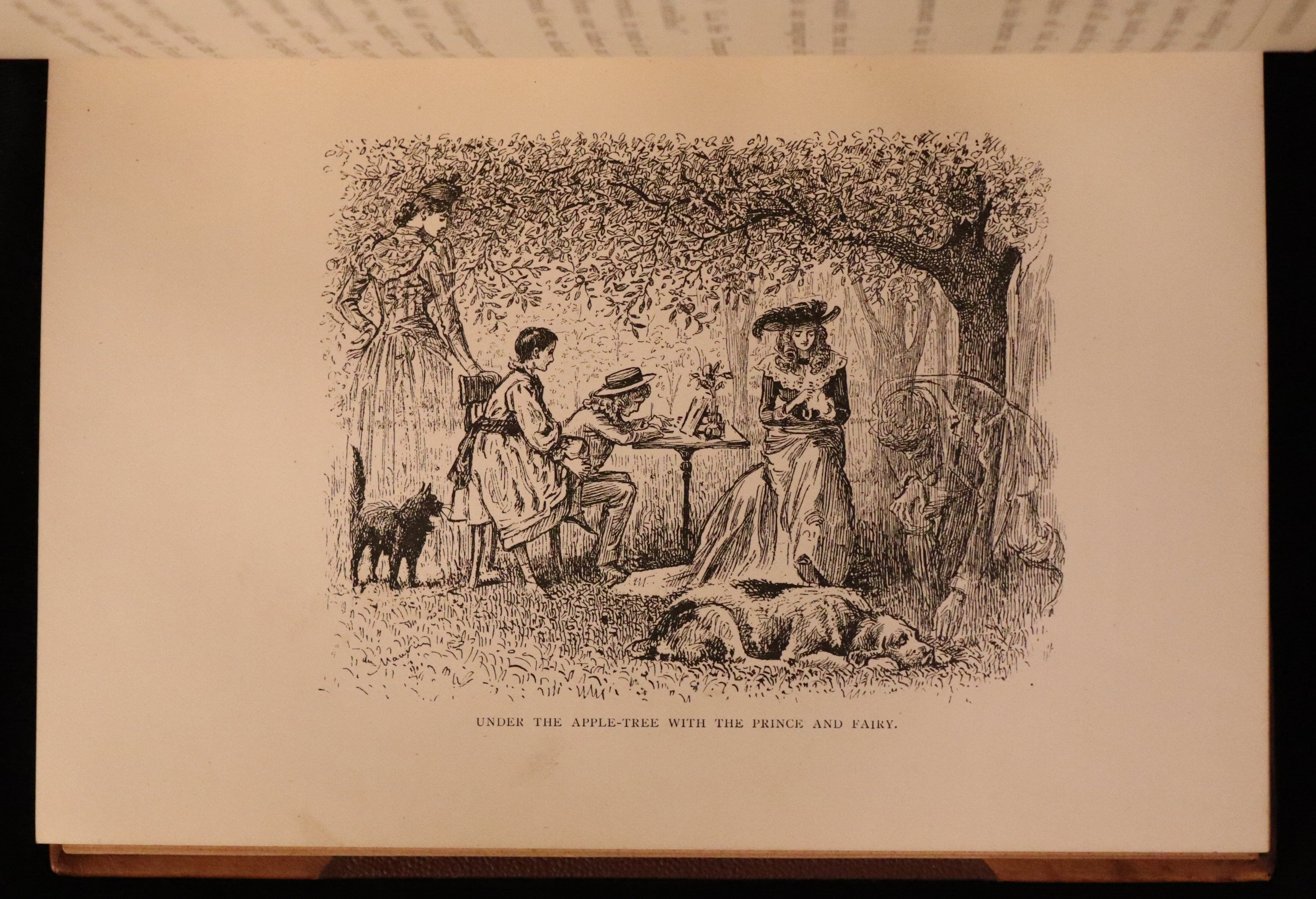 1892 First 2 Volumes Edition - Peter Ibbetson, A strange tale of Commu ...