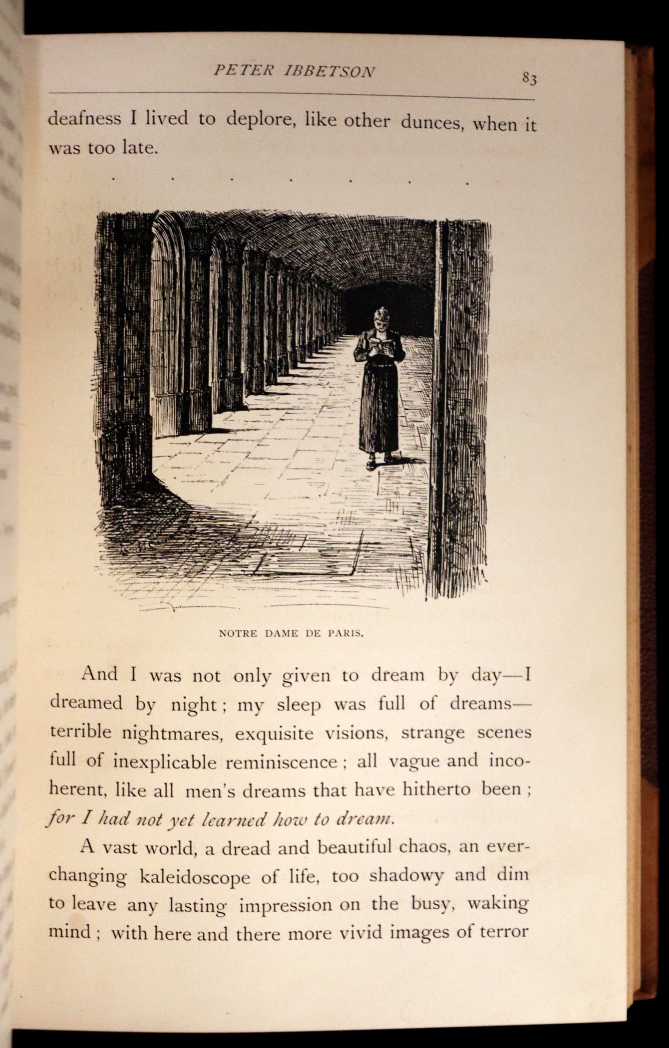 1892 First 2 Volumes Edition - Peter Ibbetson, A strange tale of Commu ...
