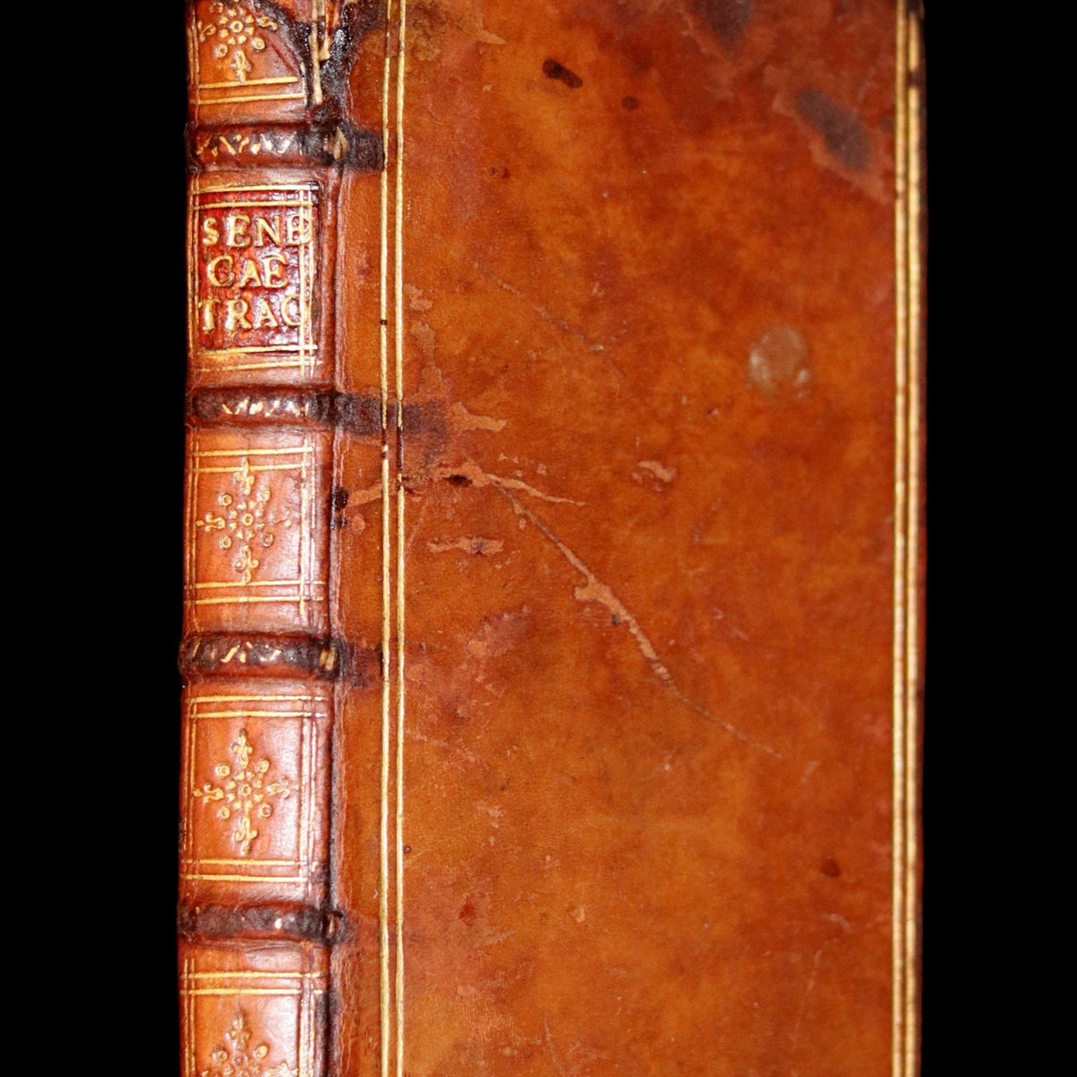 1636 Rare Latin Book - SENECA - L. Annæi Senecæ - Tragedies - Oedipus ...