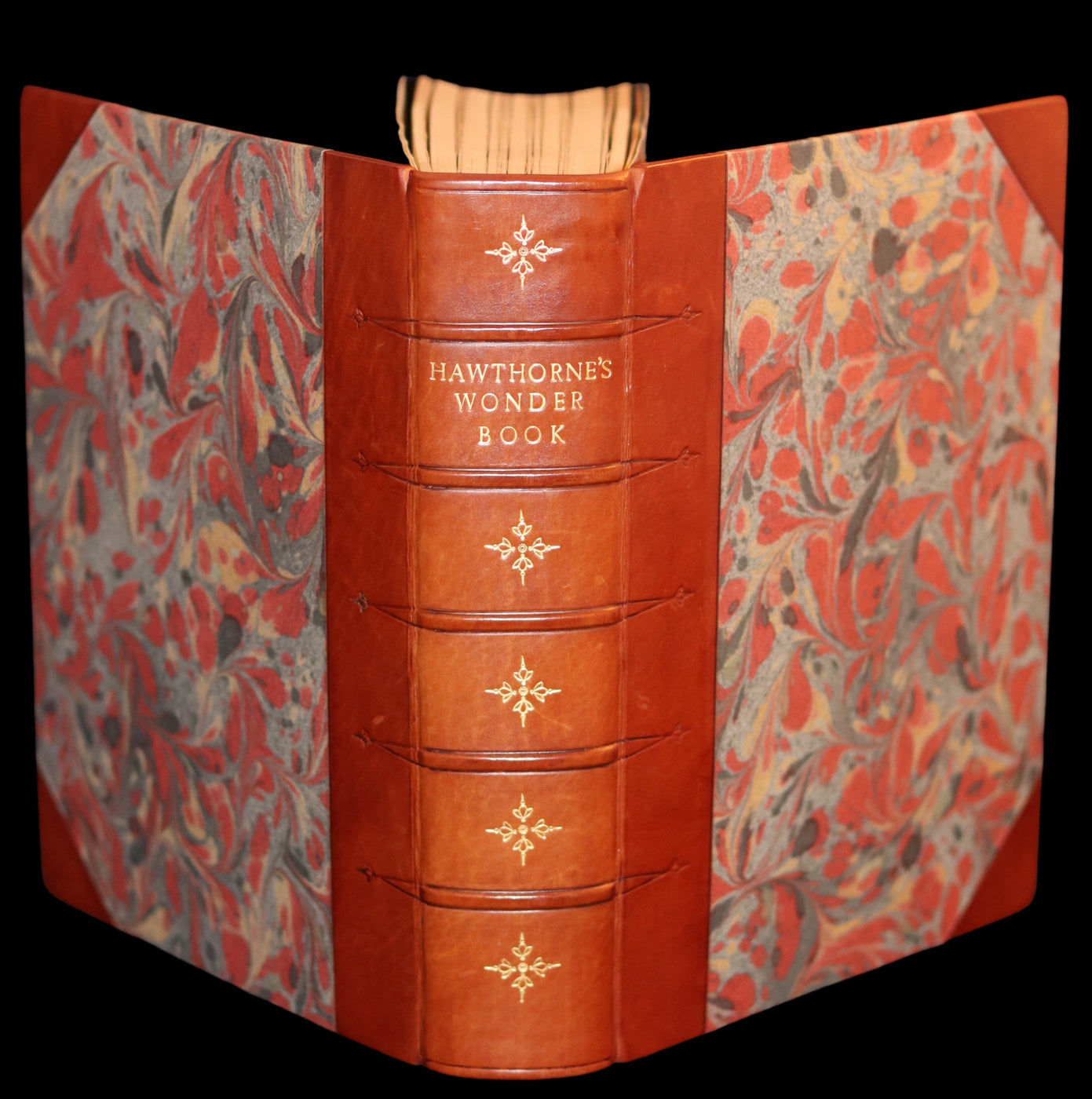 1922 Rare First Edition - A WONDER BOOK by Nathaniel Hawthorne ...