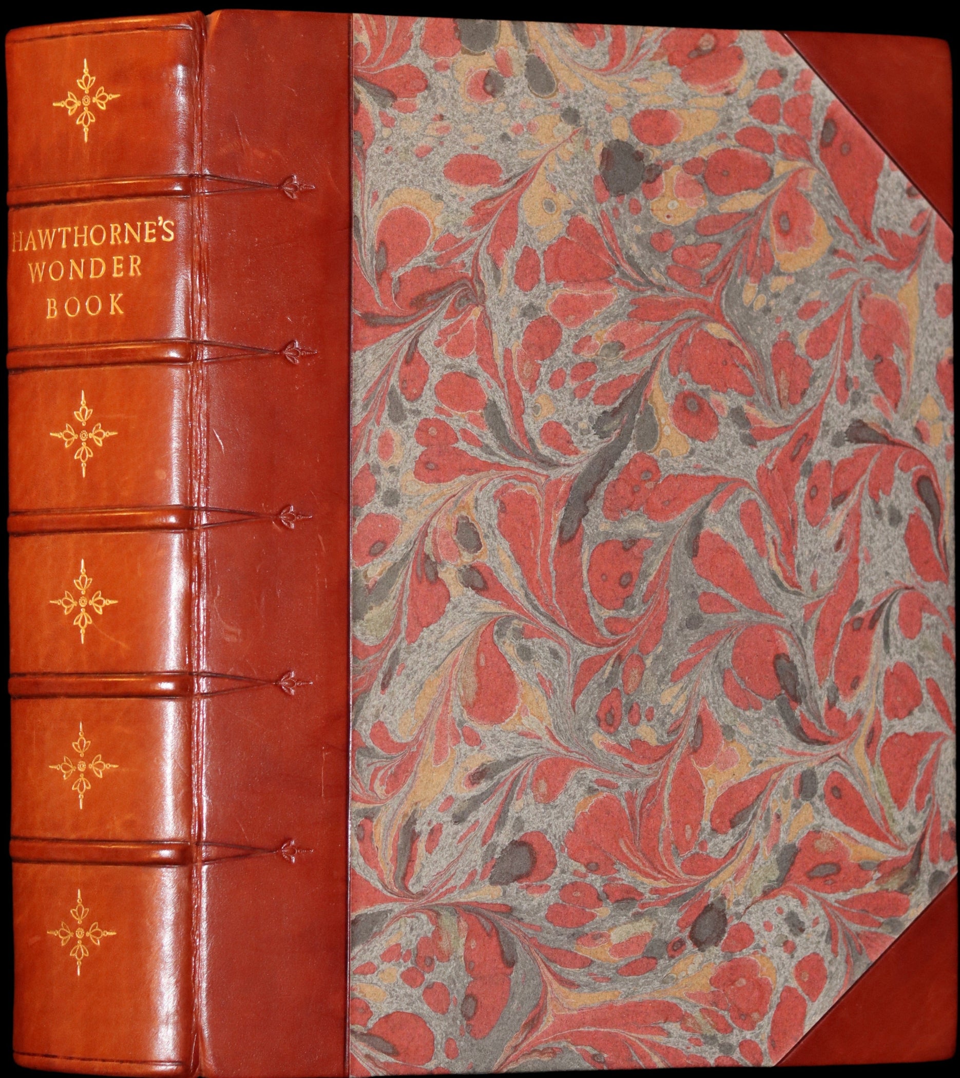 1922 Rare First Edition - A WONDER BOOK by Nathaniel Hawthorne ...