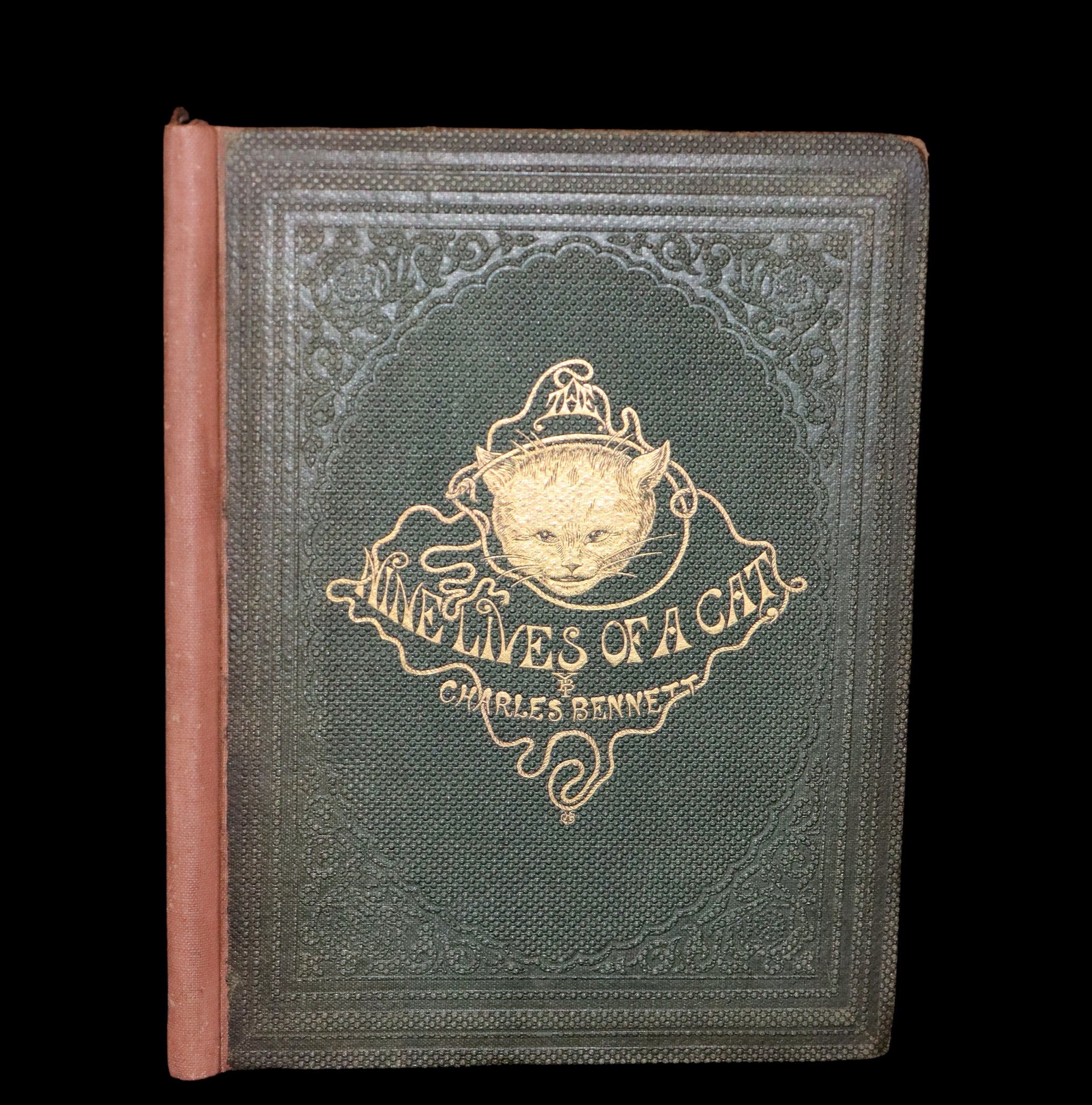 1863 Scarce First Edition - THE NINE LIVES OF A CAT - Tale of Wonder ...